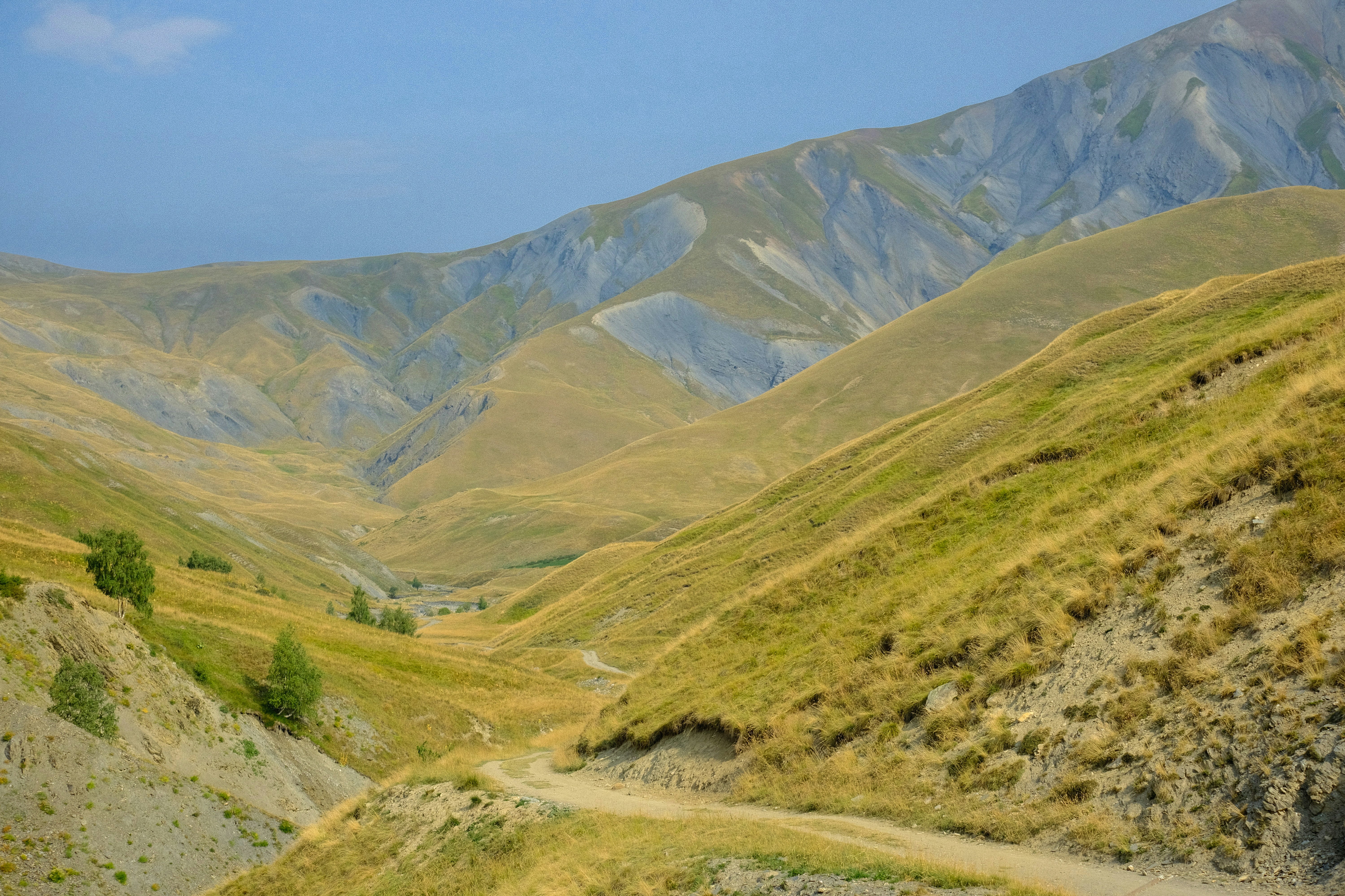 Rolling Alpine Currents: A Quiet Valley Between Sunlit Ridges