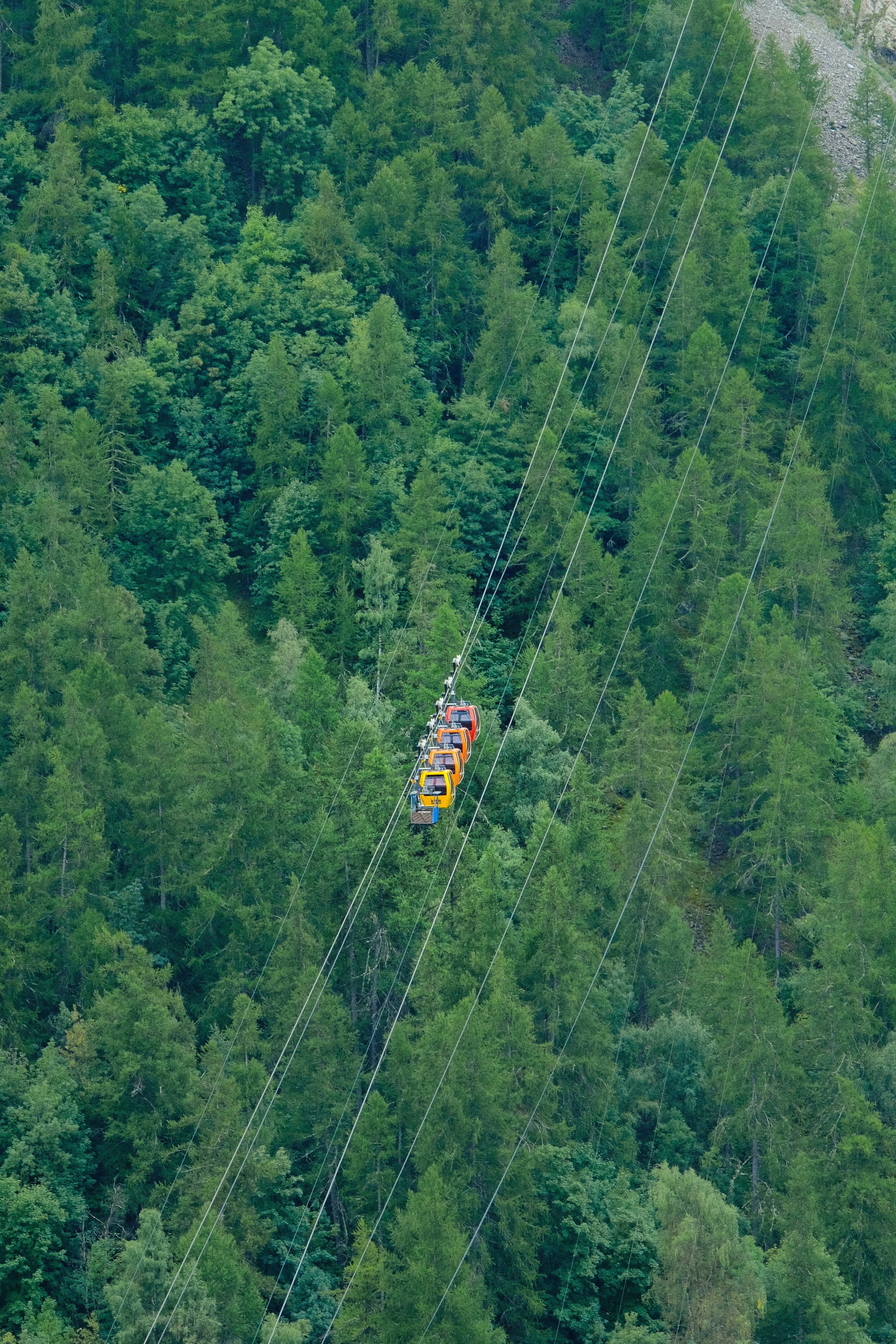 Cable Car Amid Green Veil: A Serene Ascent Through a Forested Spine