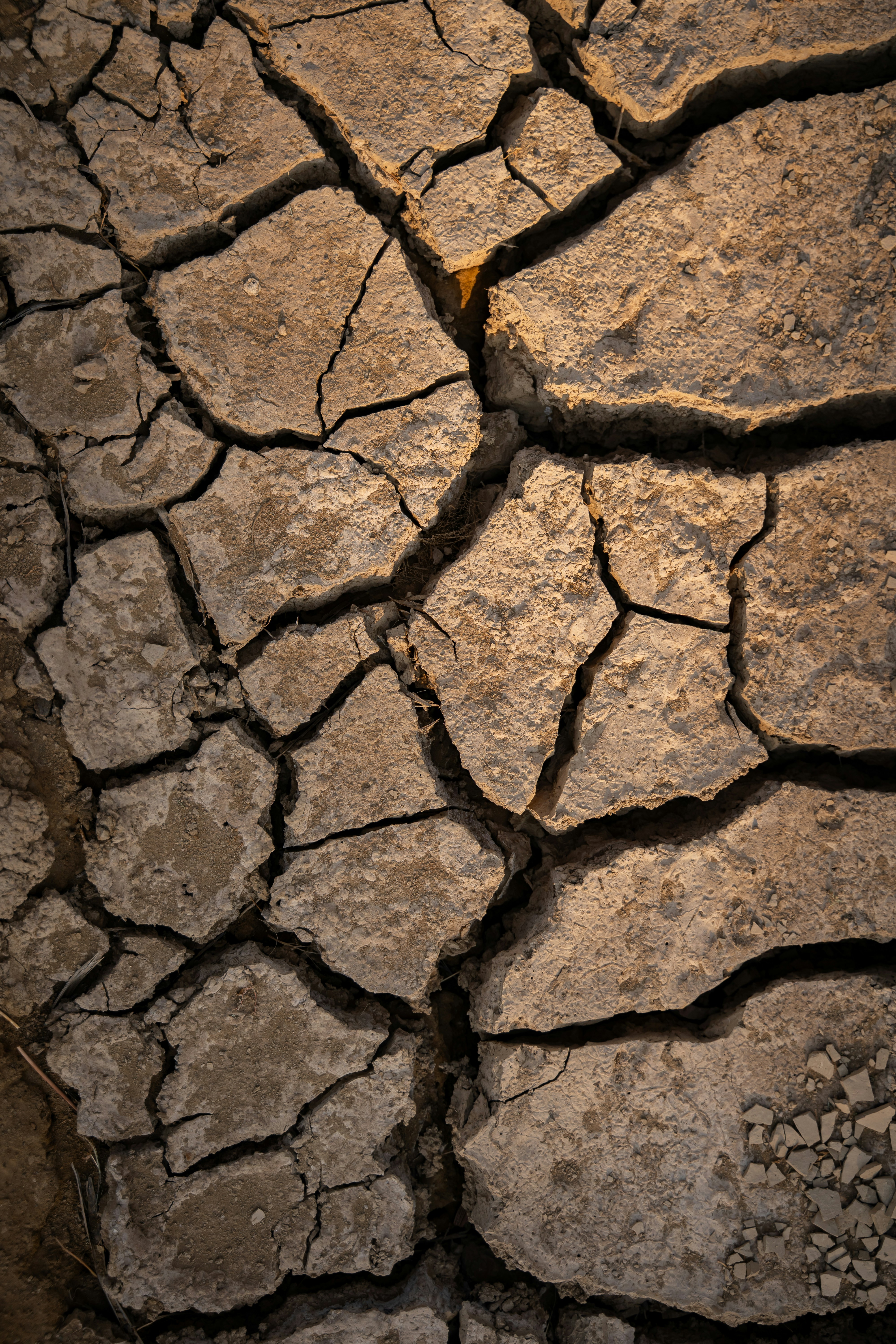 Cracked Earth: A Portrait in Parched Geometry