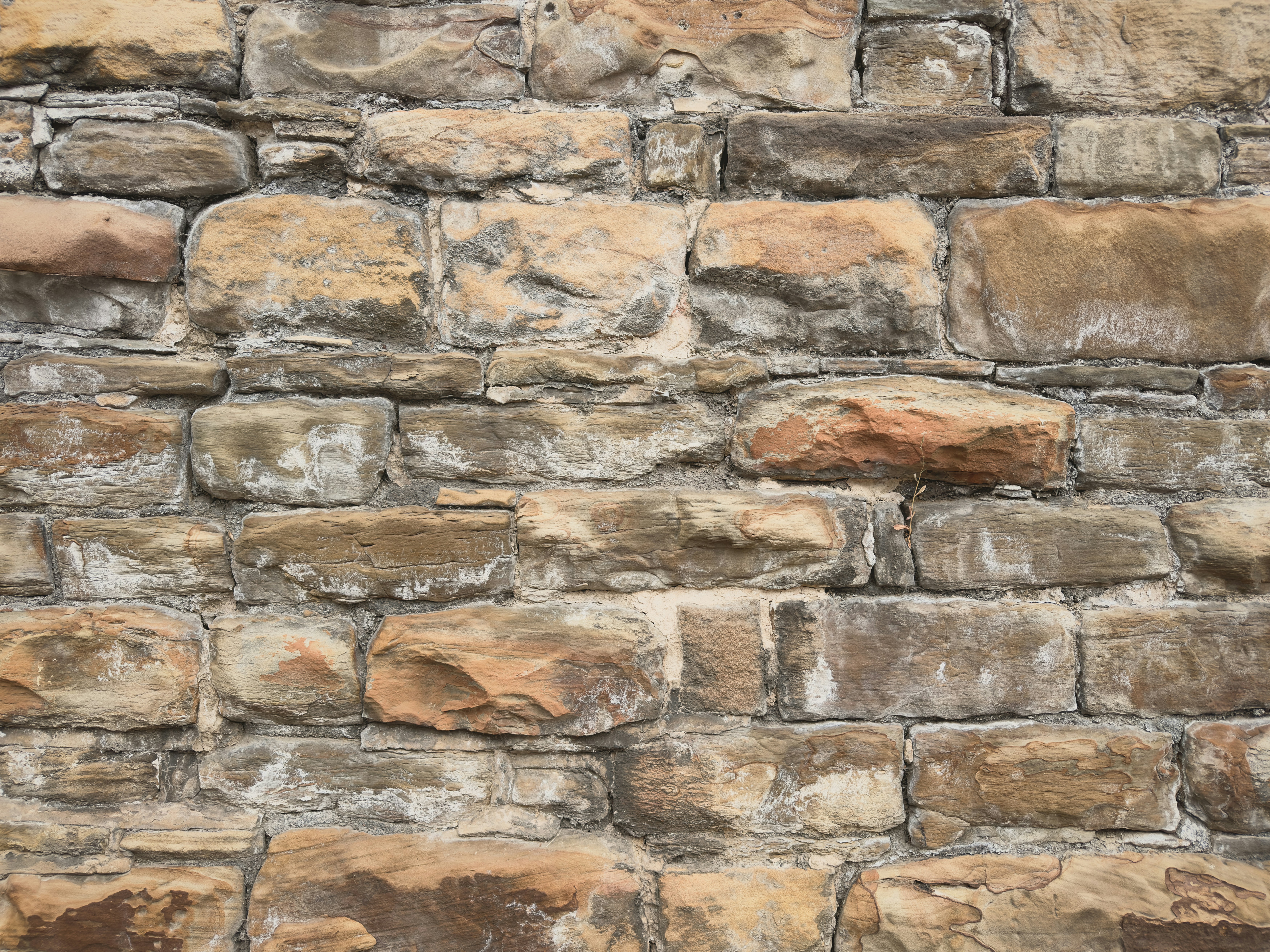 Weathered Stones: A Quiet Corner of Time