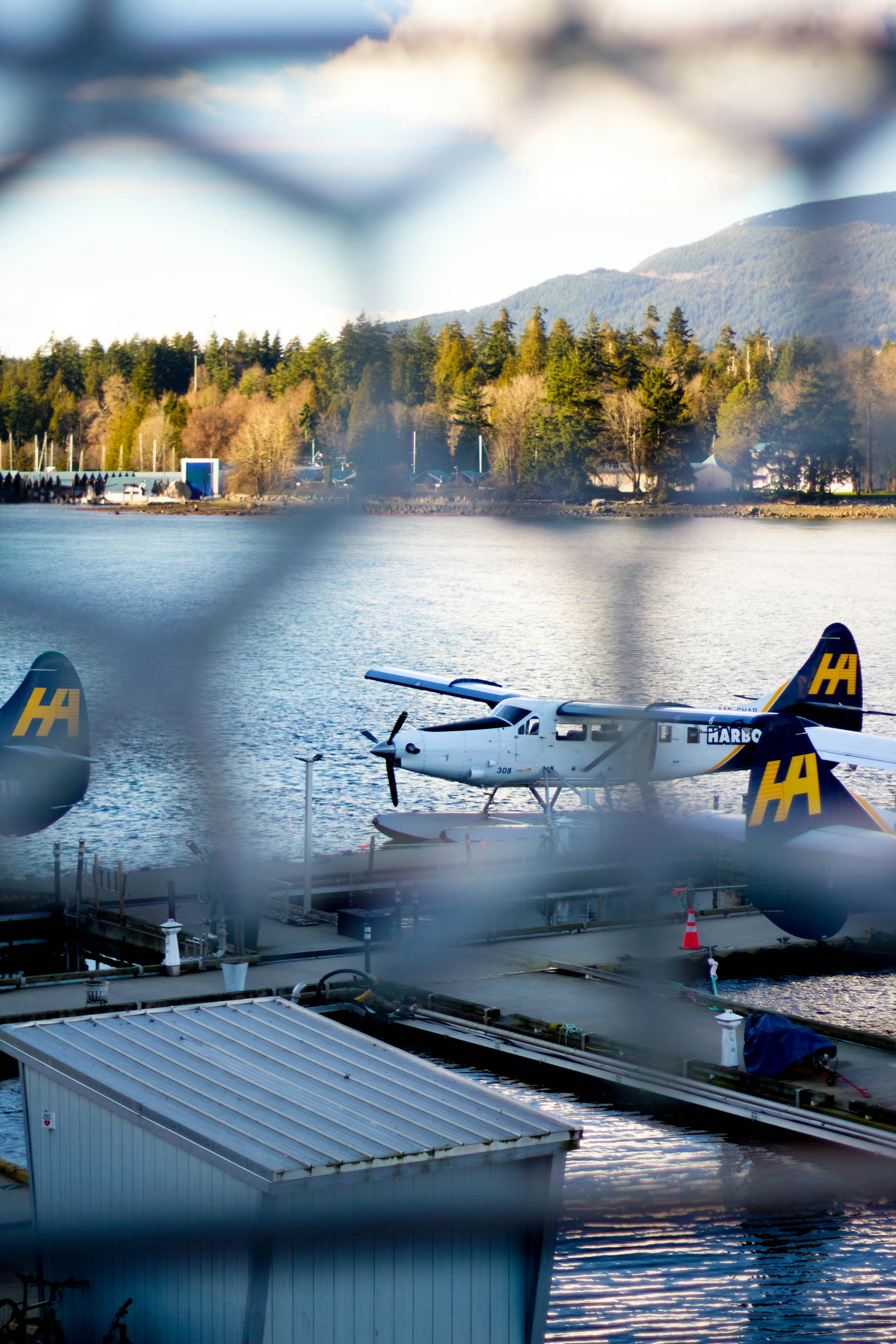 Seaplane Quietly Bordered by Water and Pines