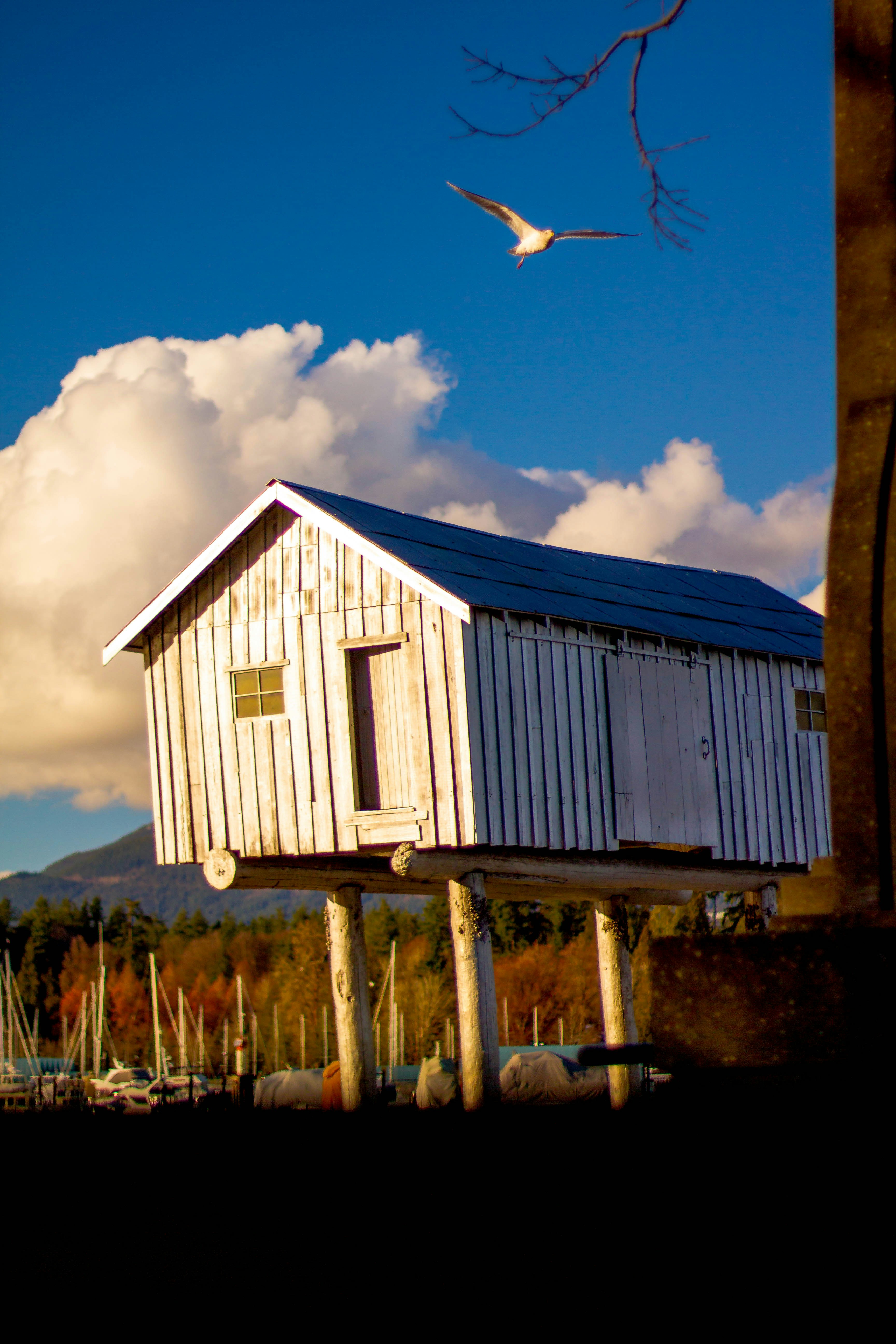 Raised Cabin Over Water: A Weathered Shed on Stilts Under a Blue Sky