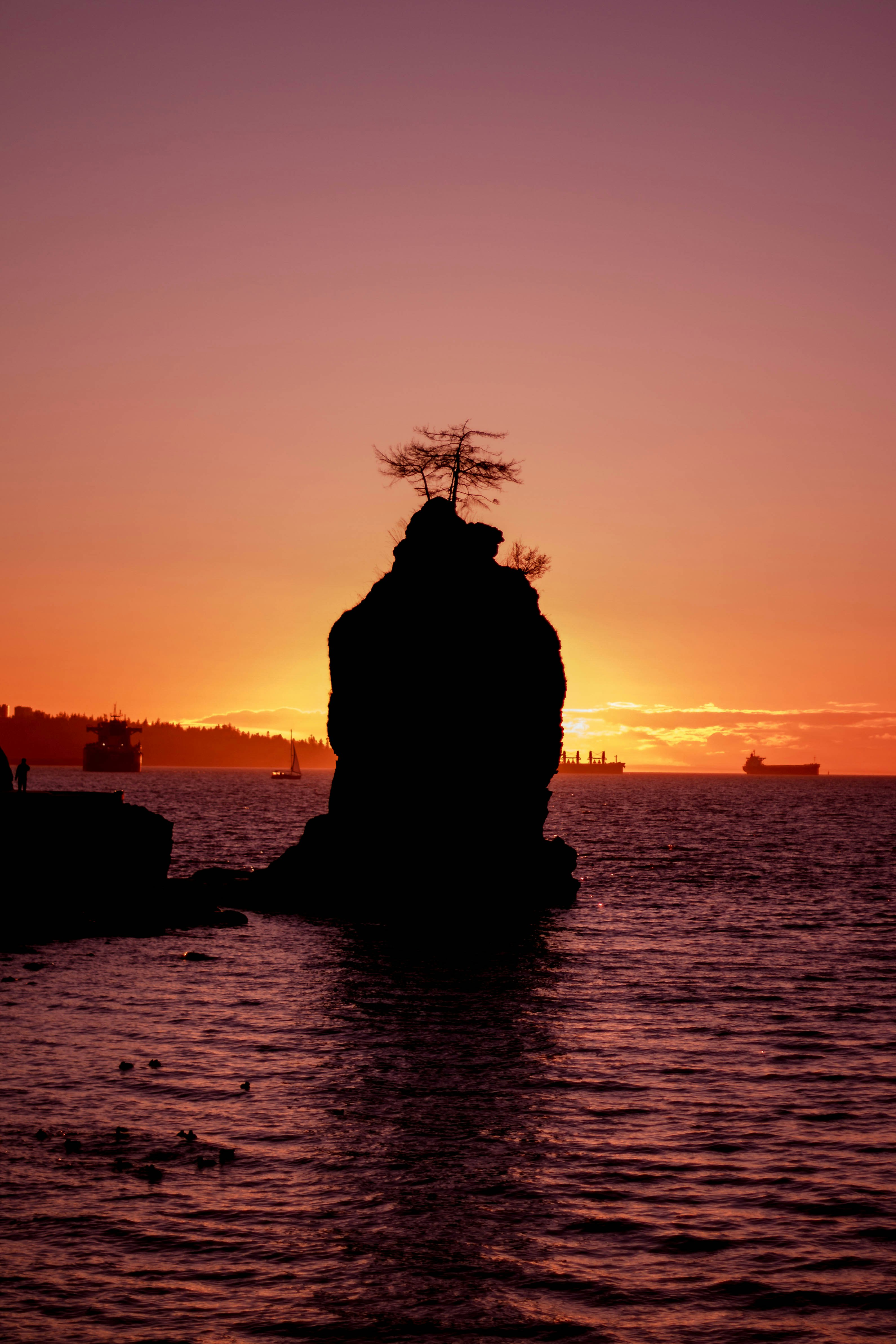 Rock Sentinel at Sunset: A Lone Tree Crowned by Wind