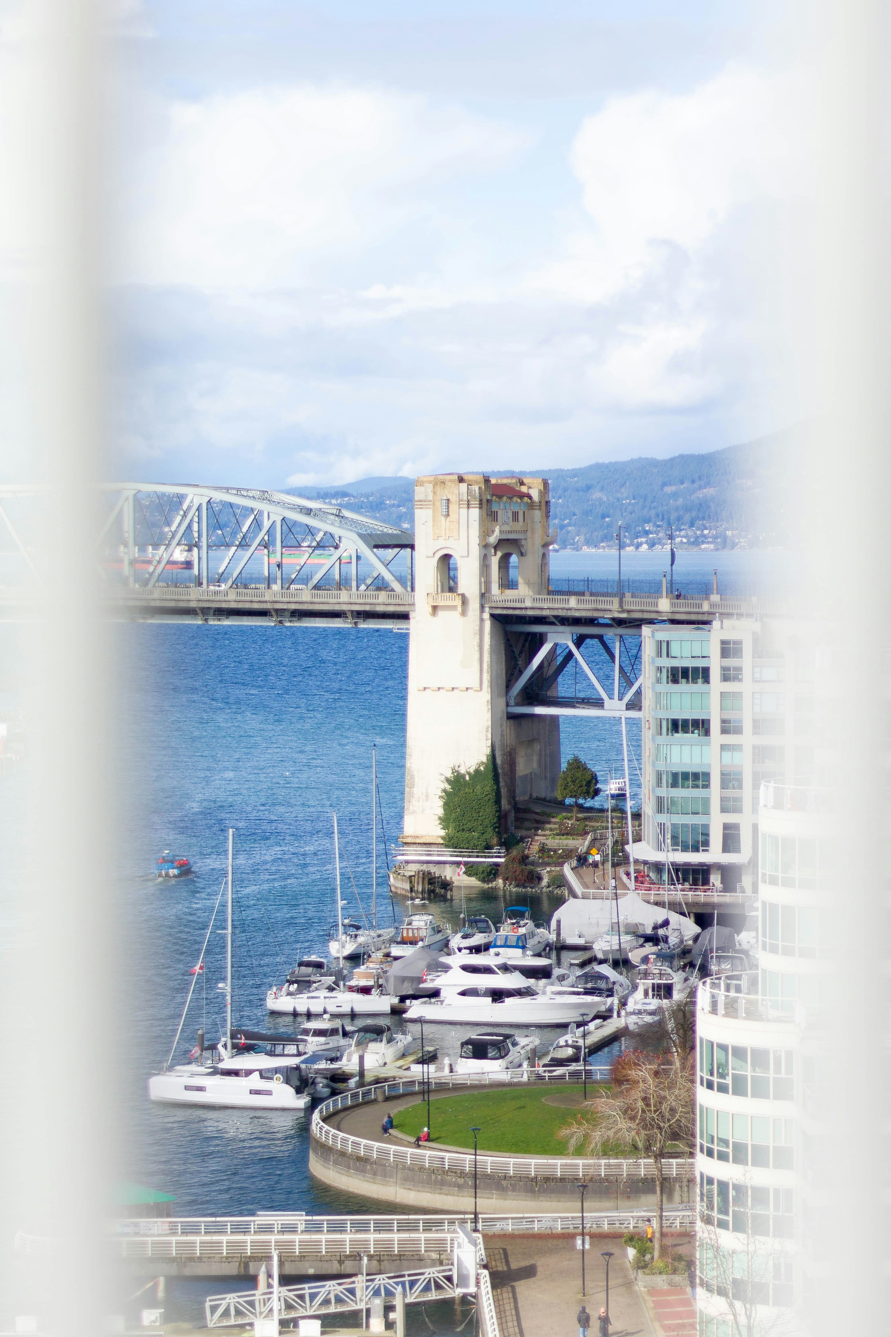 Bridge, Marina, and Cityscape Framed by Soft Waterfront Fog