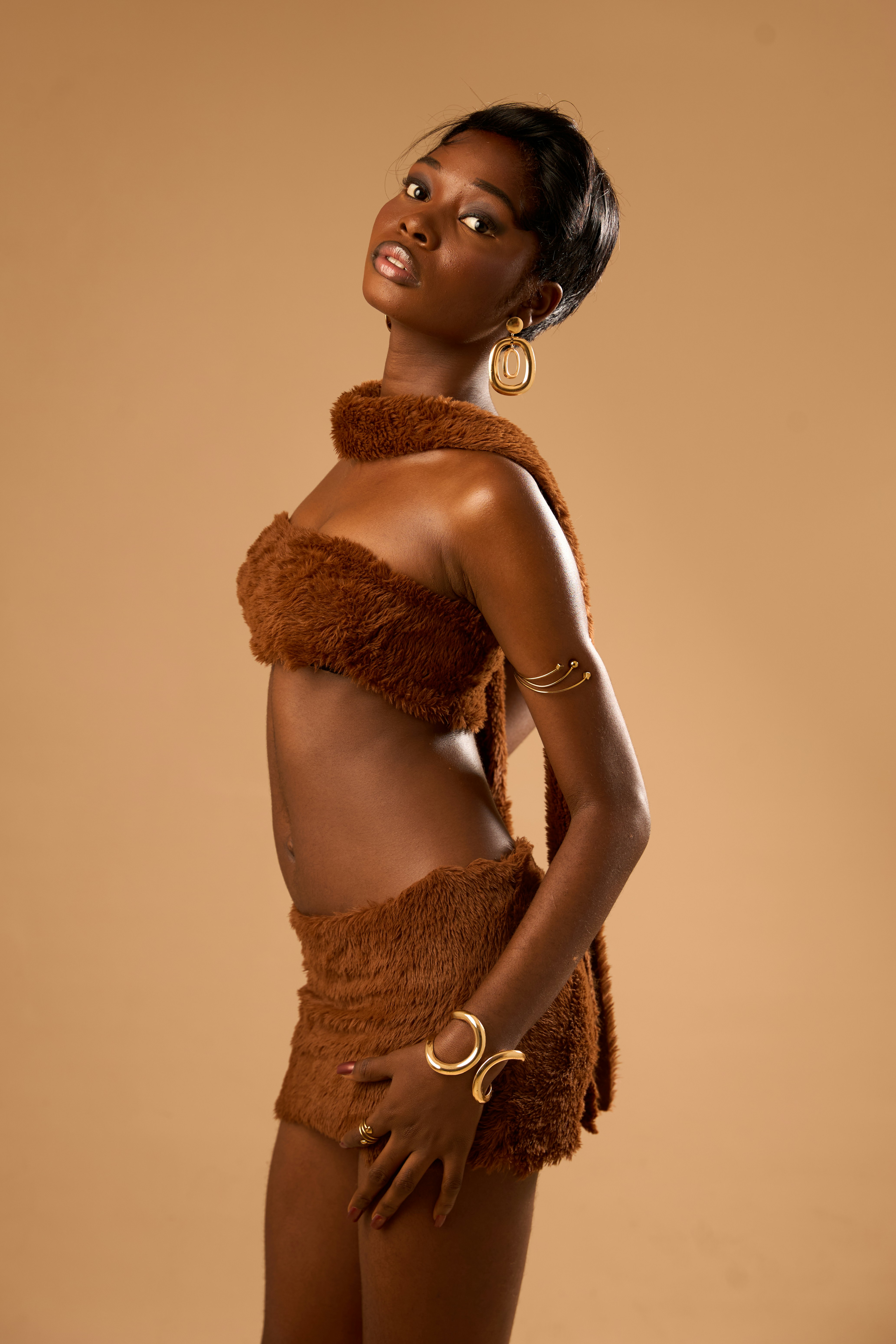 Golden Hour Pose: Sculpted Form in Rich Cocoa Fur
