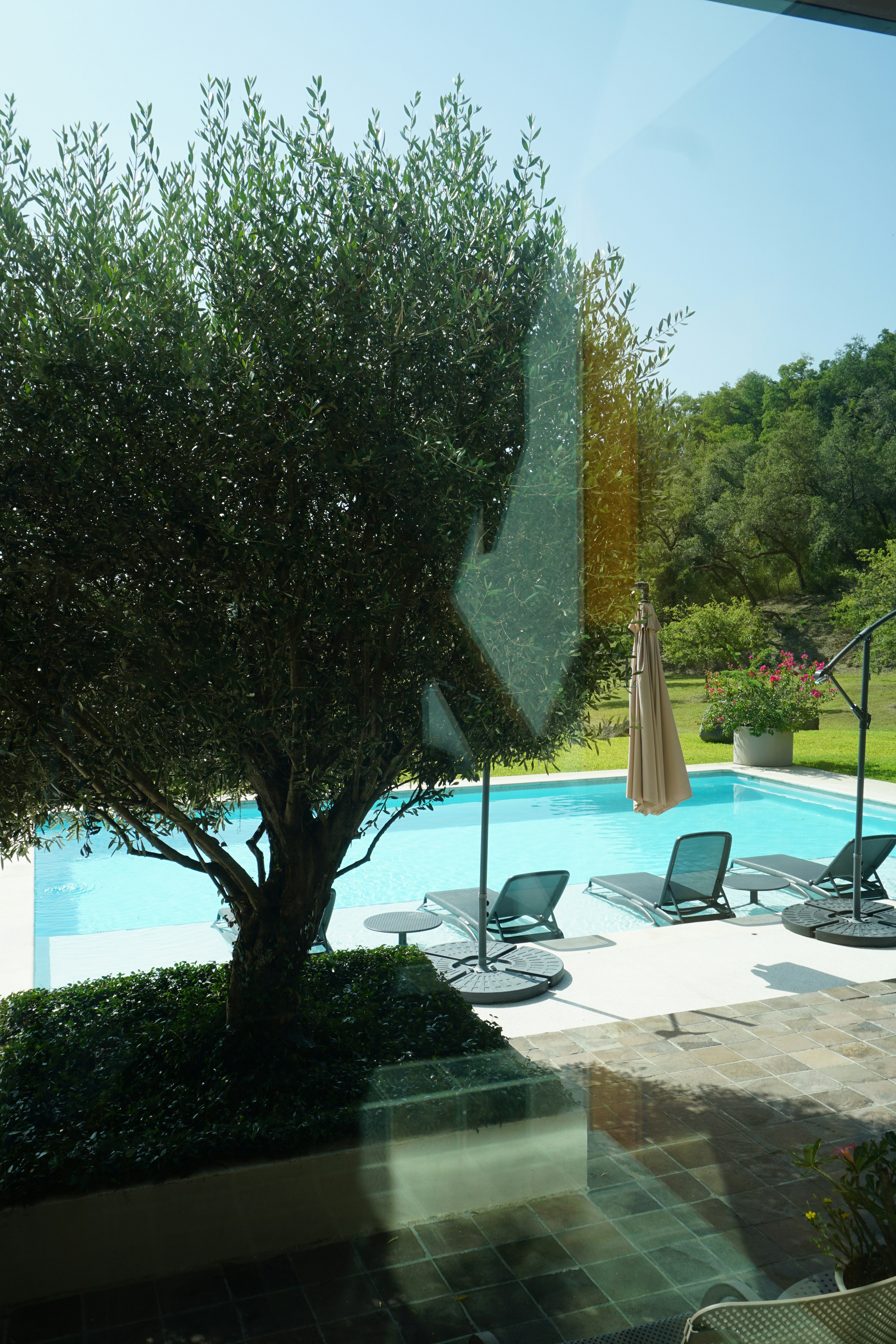 Glass Reflections by the Pool: A Quiet Afternoon with Shade and Water