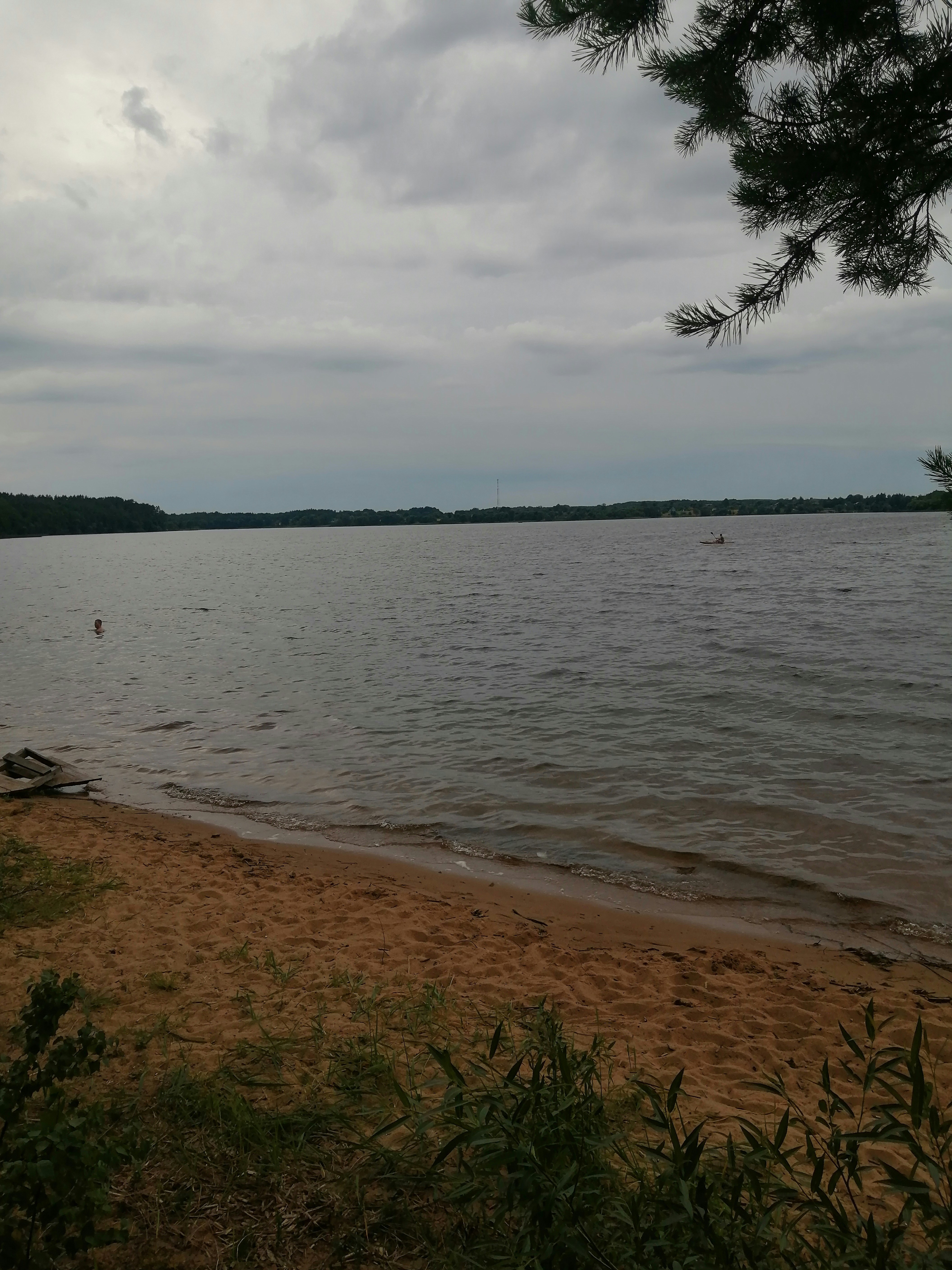 Sandy lakeshore with gentle waves and distant treeline under a gray sky, foreground grasses edging the shore; a calm water expanse dominates the mid-ground.