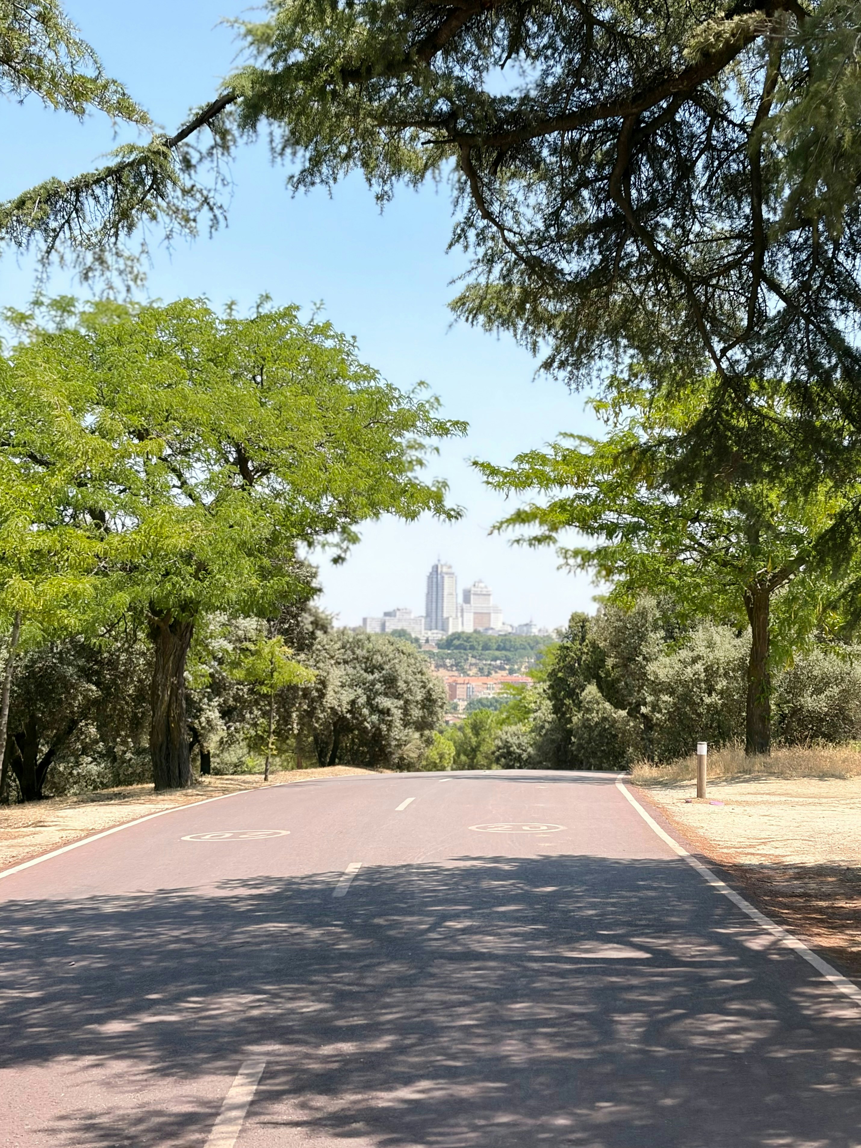 A Quiet Parkway Framing a Distant City Horizon