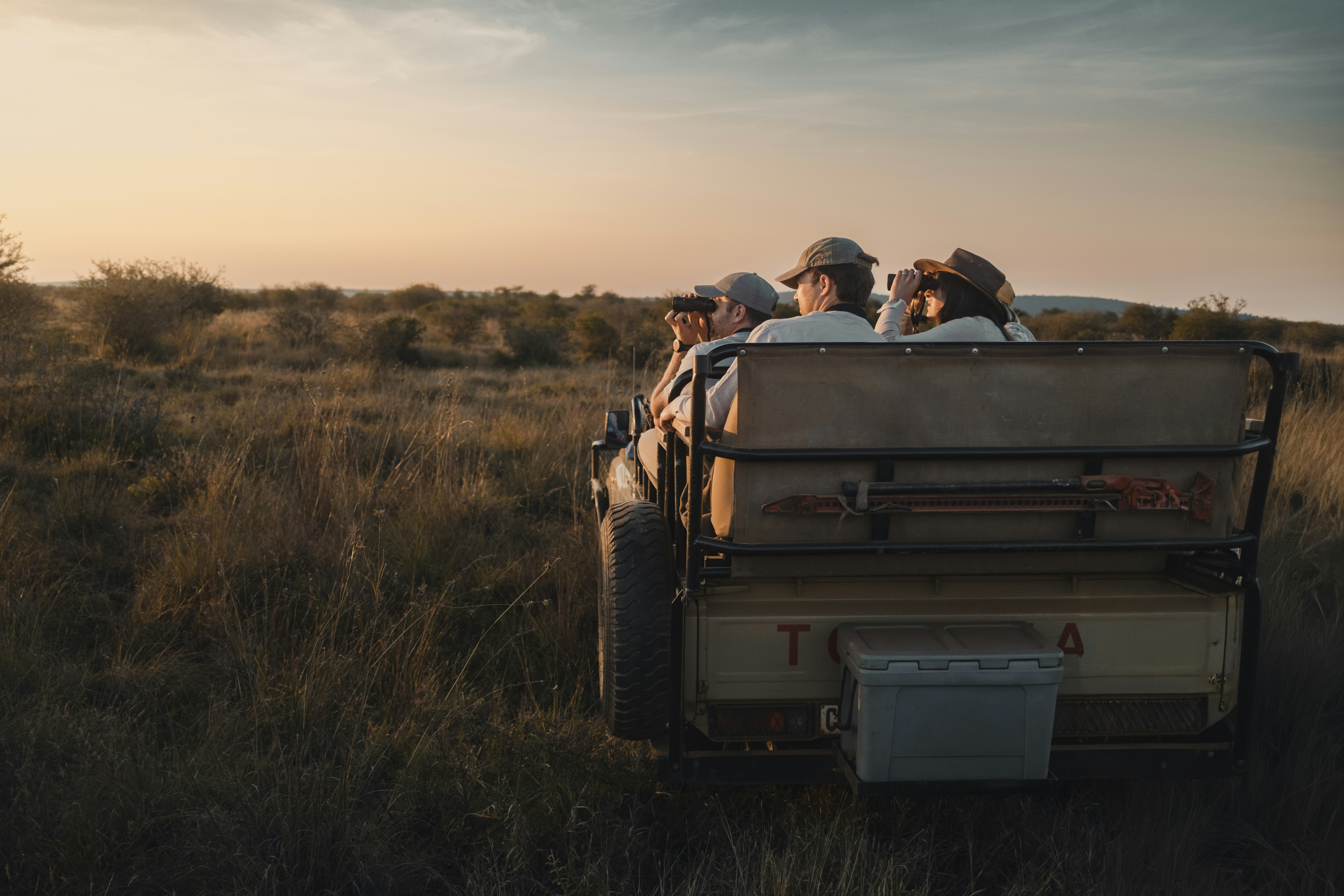 Sunset Safari: A Front-Row View from the Back of the Jeep