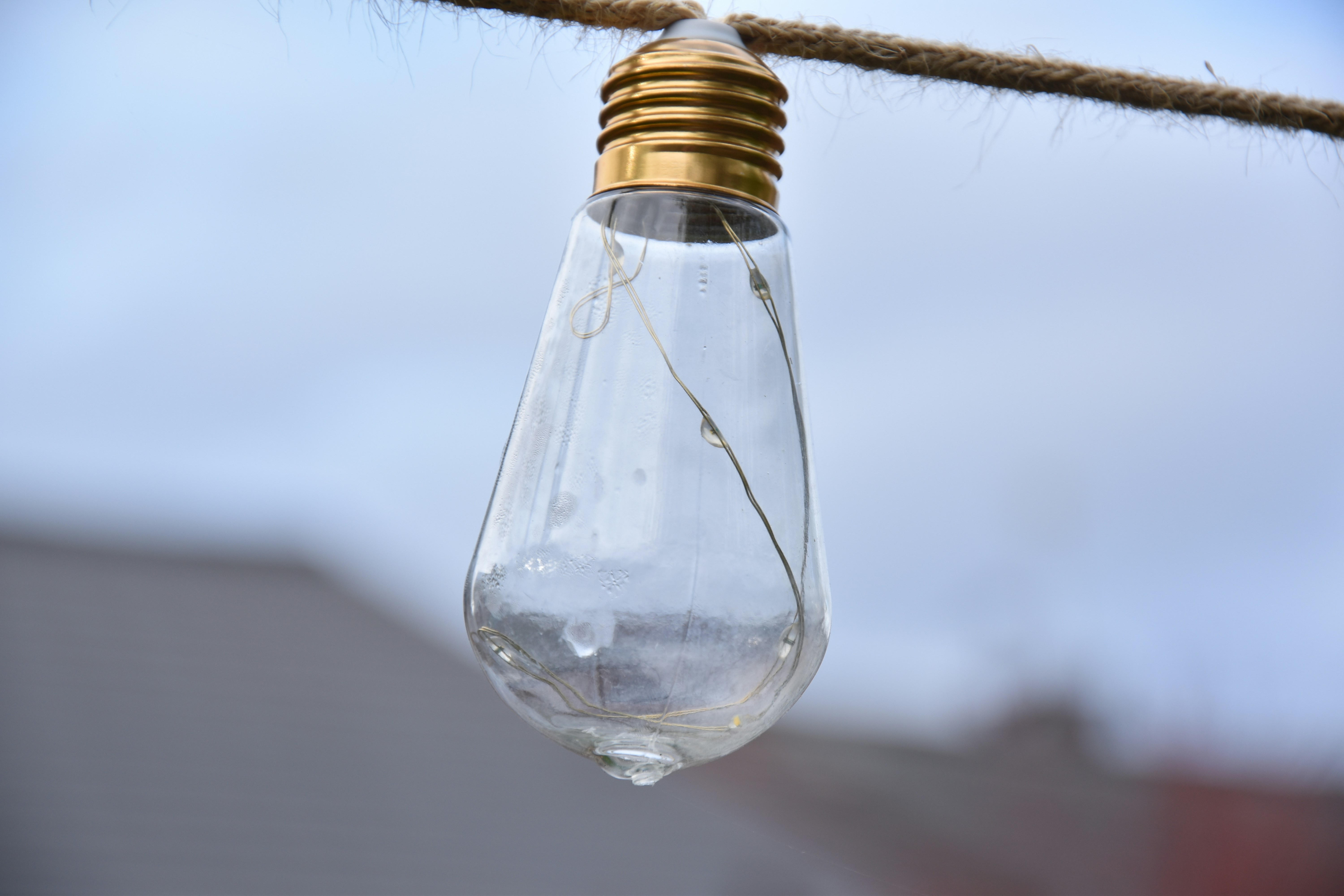 Hanging Edison Bulb: A Lone Glow Against a Soft-Blurred Skyline