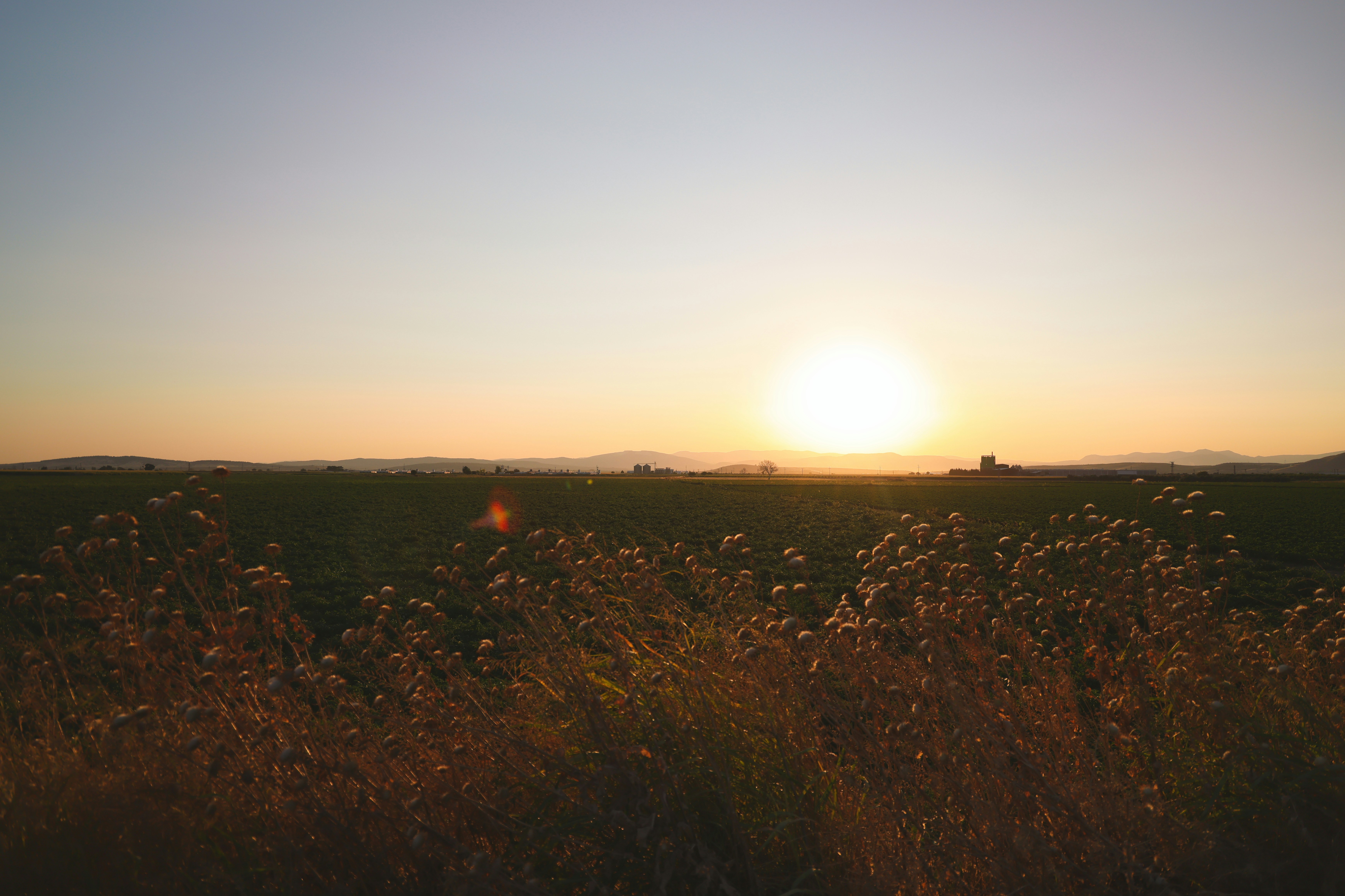 Sunlit Horizon: Distant Fields Beneath a Quiet Dusk