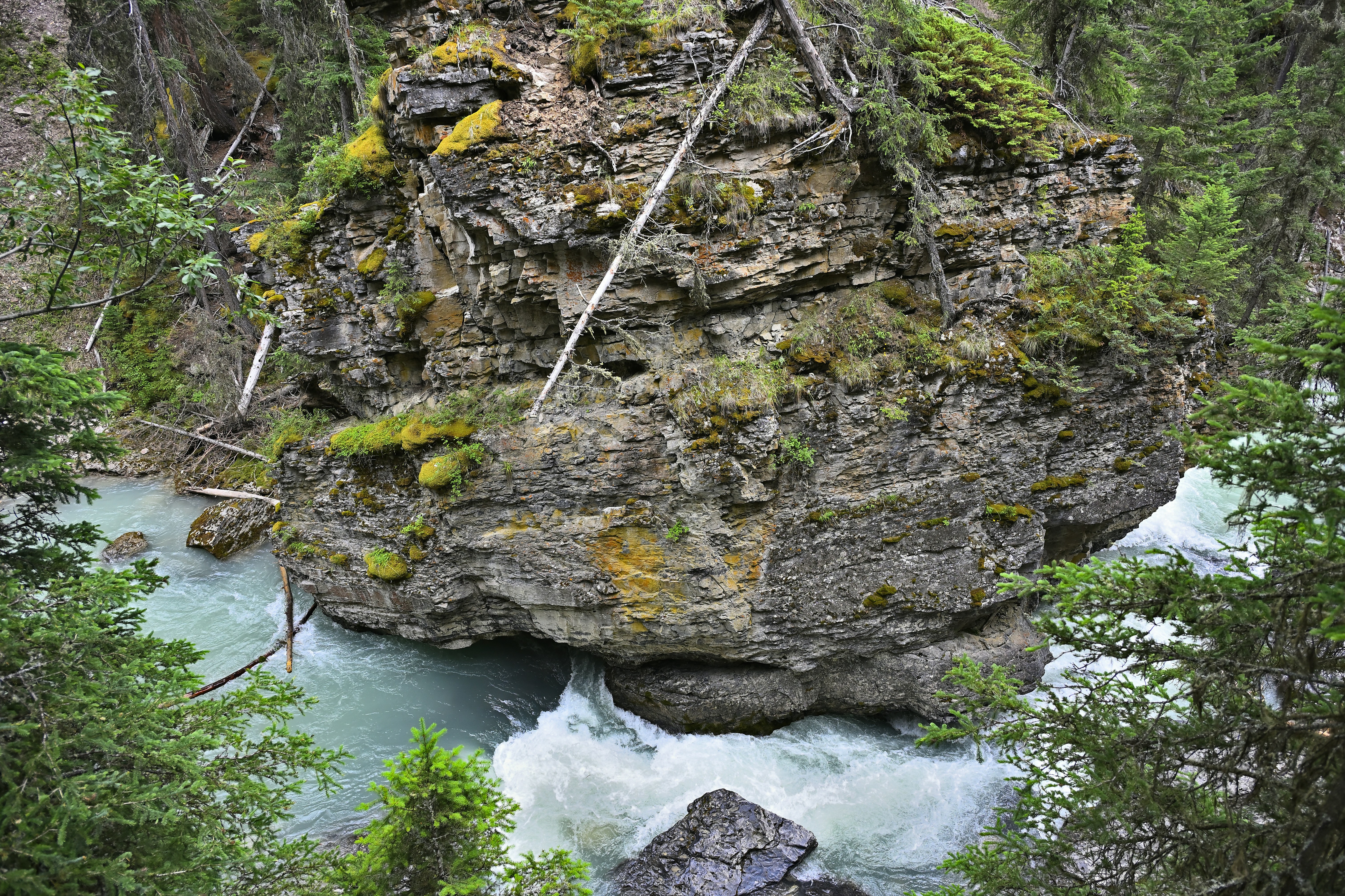 Rushing Turquoise Gorge: Rivercuts Through Alpine Cliffs
