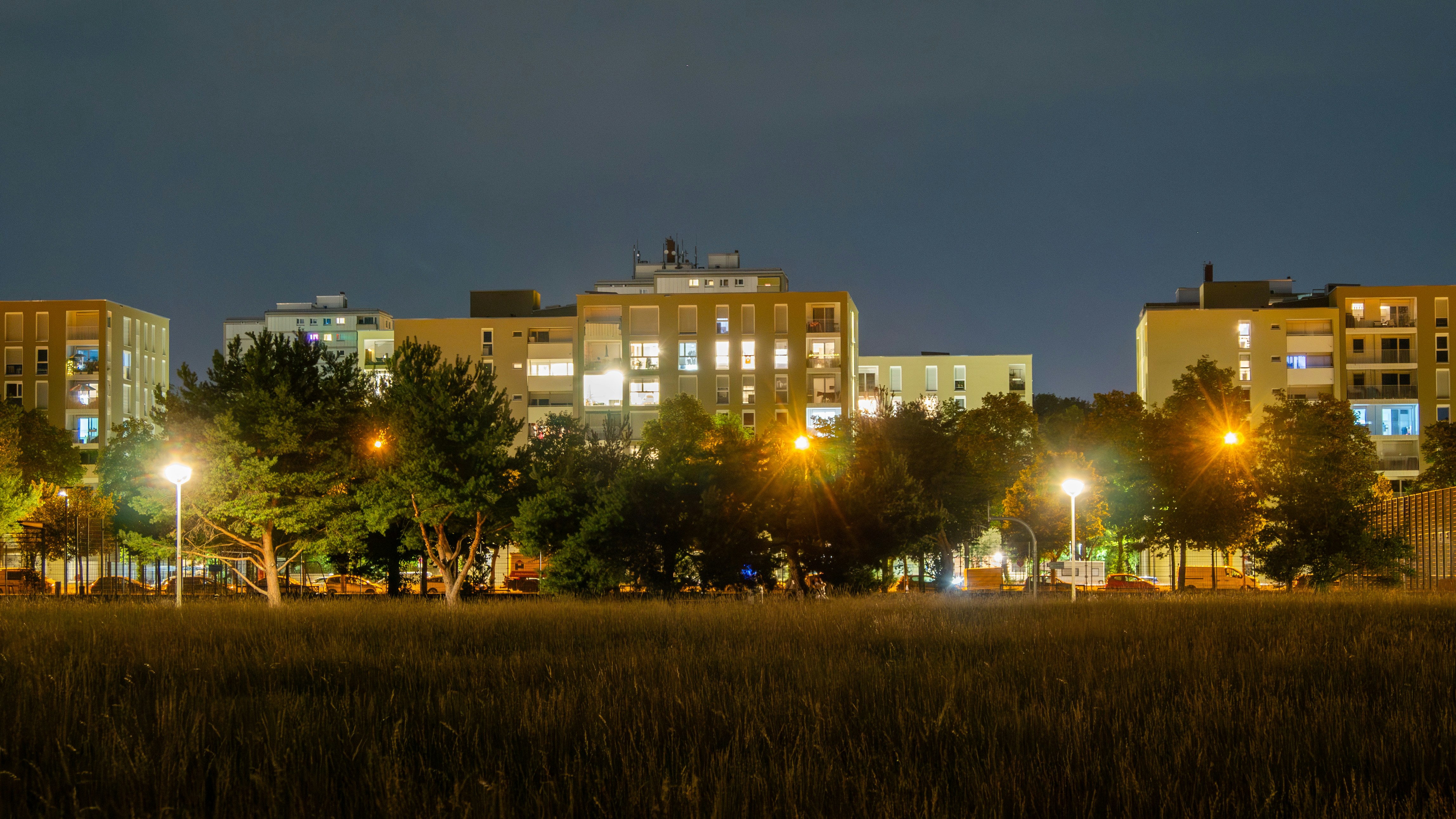 Night Campus Skyline: Warm Streetlights Beneath a Quiet Horizon