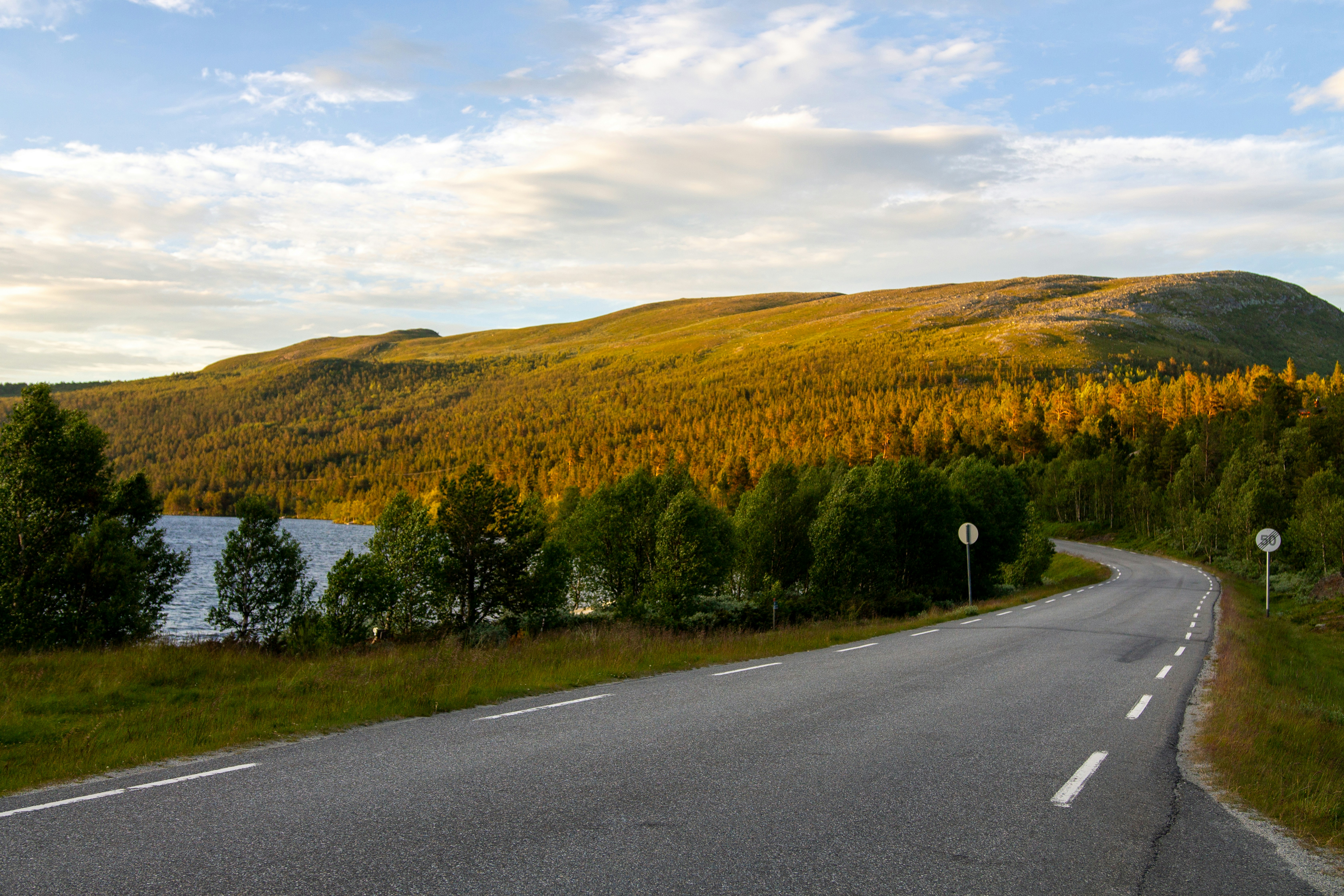 Autumn Crest: A Winding Road Through Golden Hills