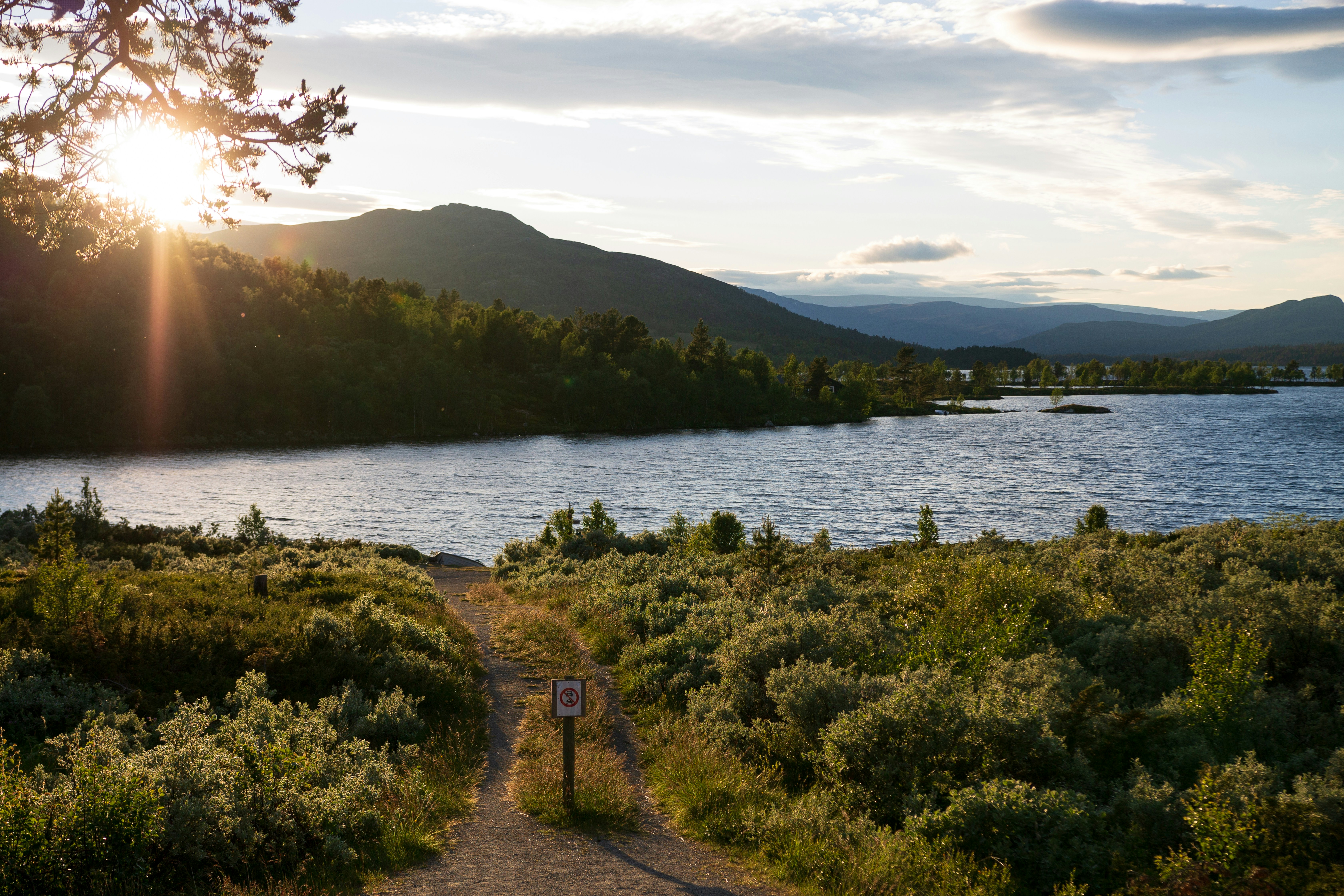 Sunlit trail to the lakeside with distant mountains