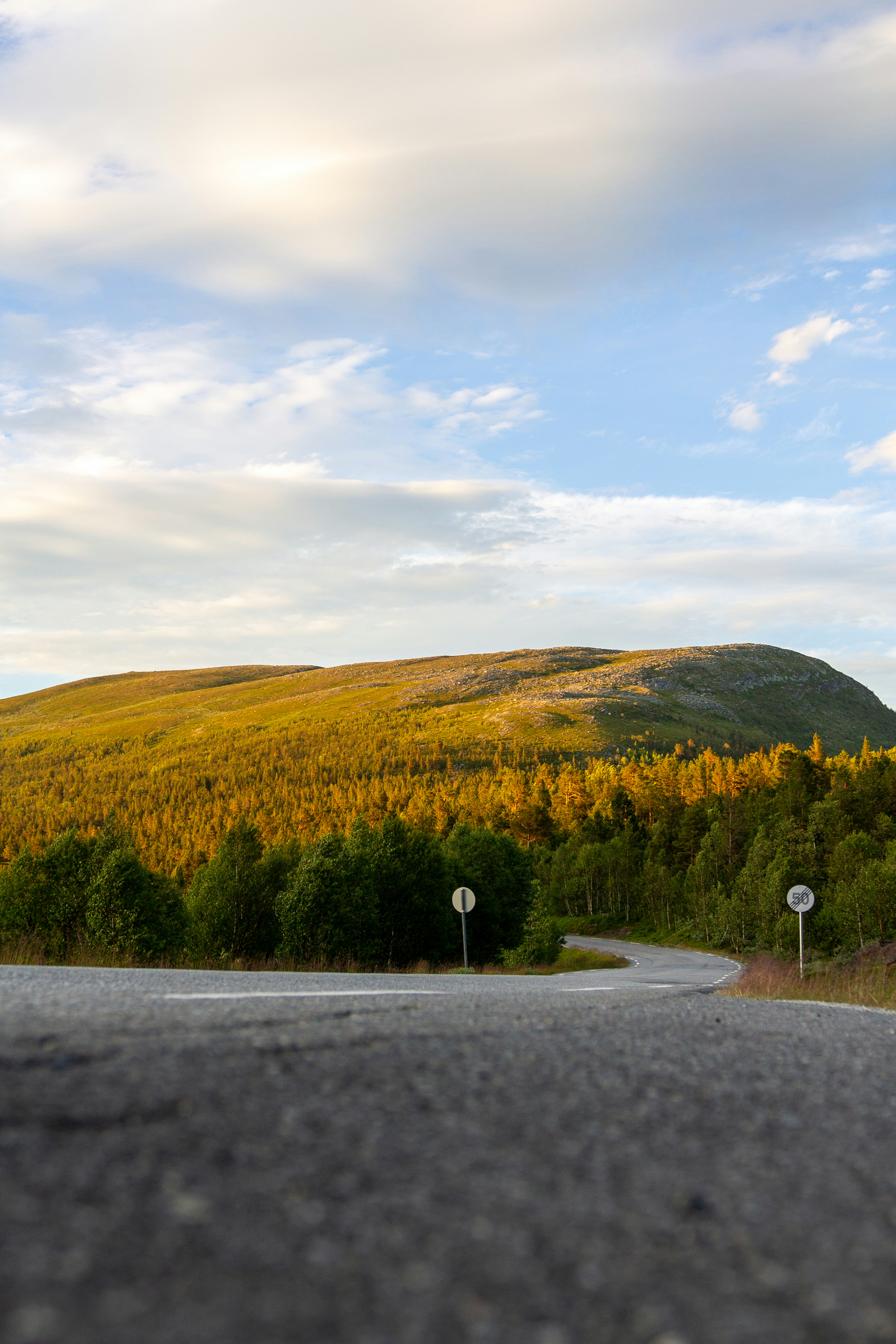Golden Hill Road: A Quiet Drive Toward Sunset Pines