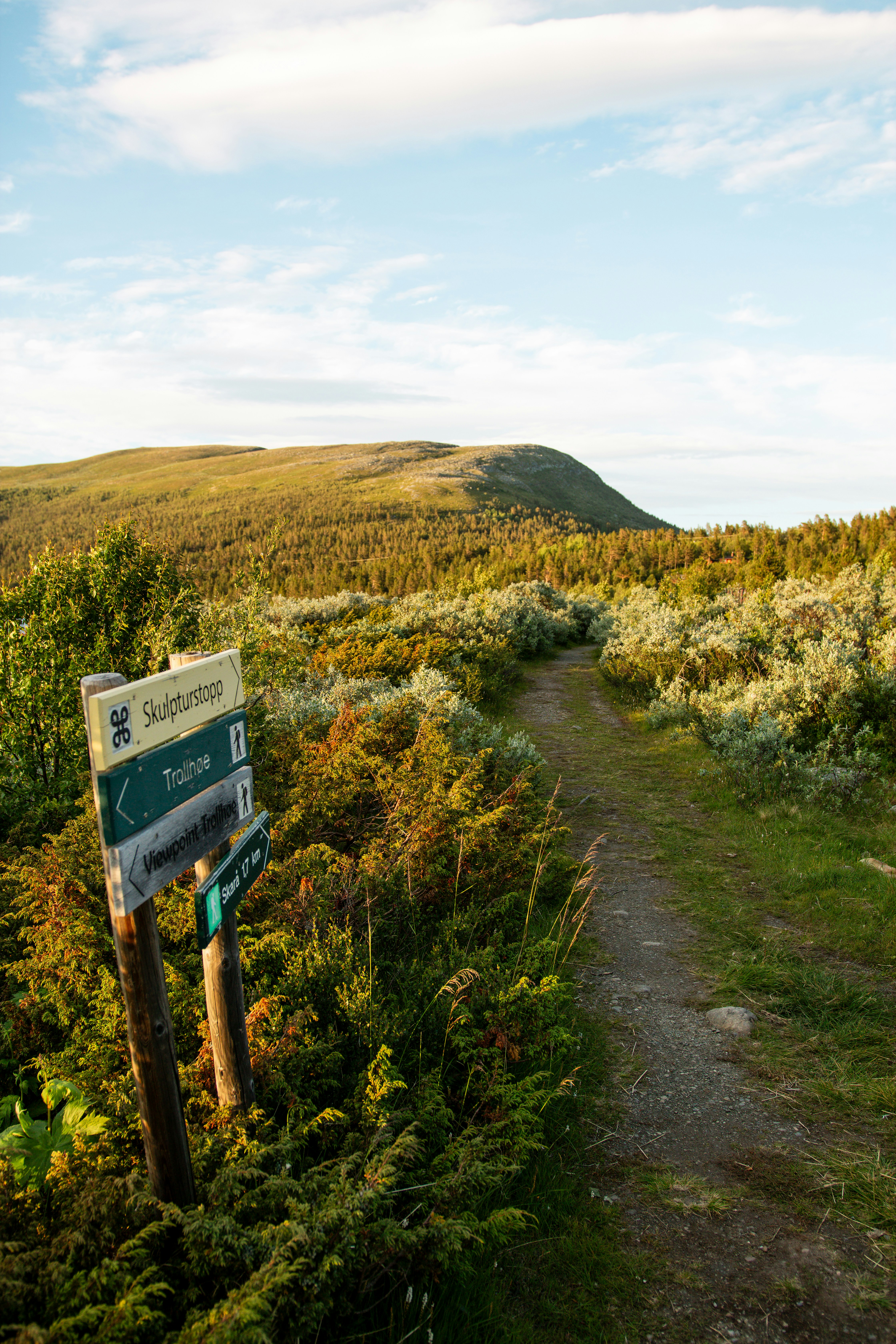 Trail Sign to the Distant Hilltop