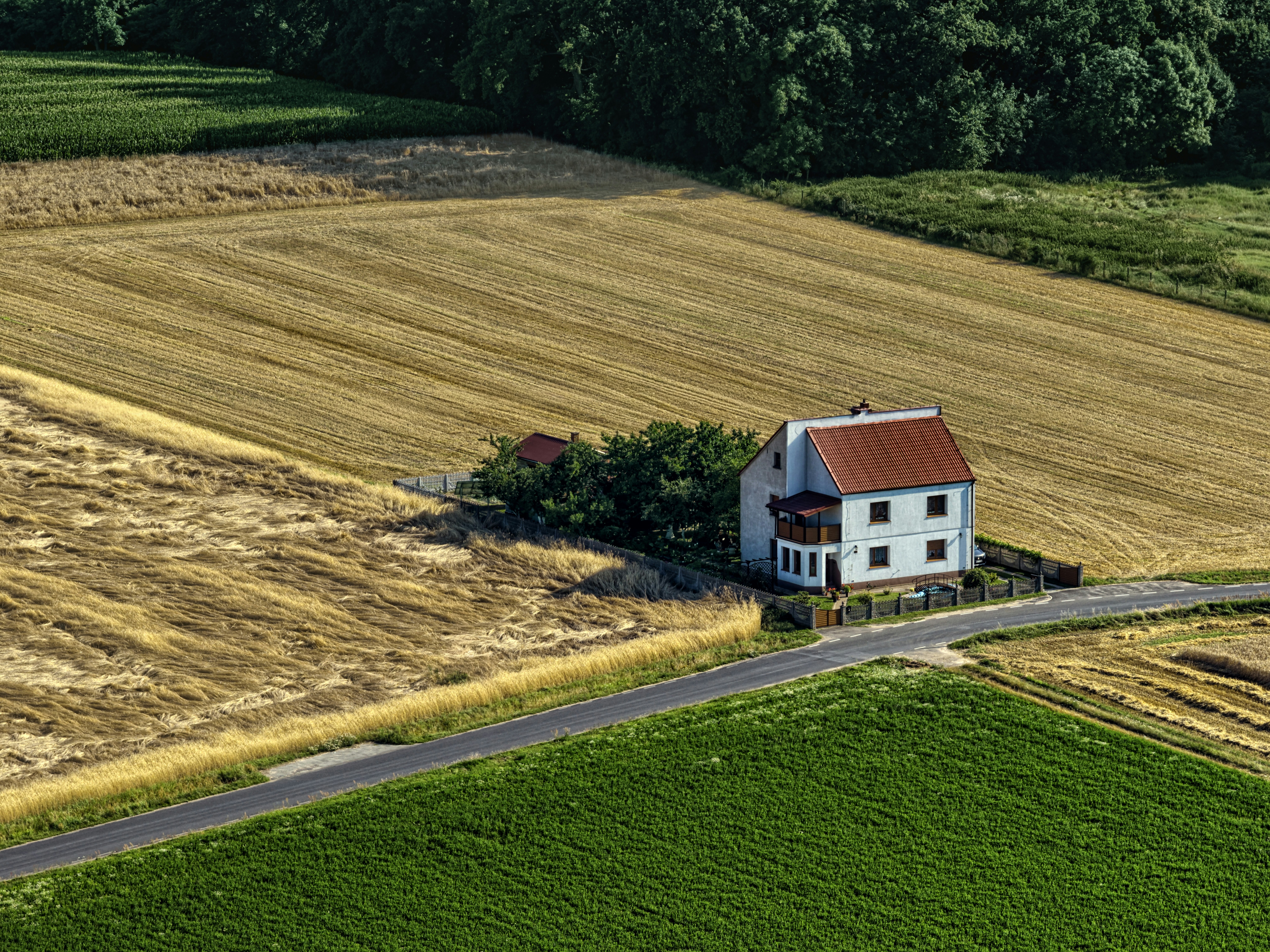 A Lone House Anchored by Two Crops: Red Roof, Green Field