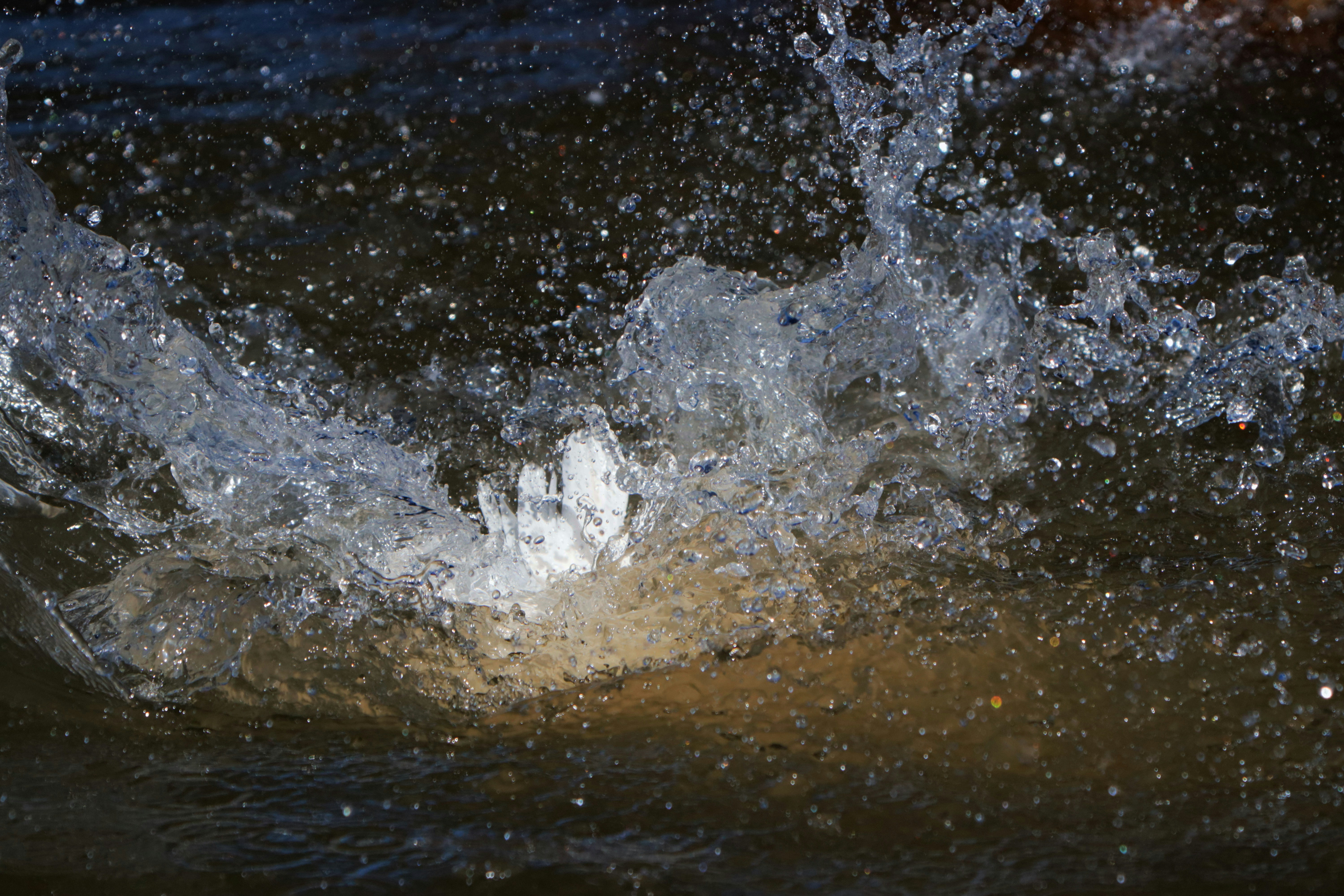 Splash Crown: A Burst of Wave Chaos at the Shore
