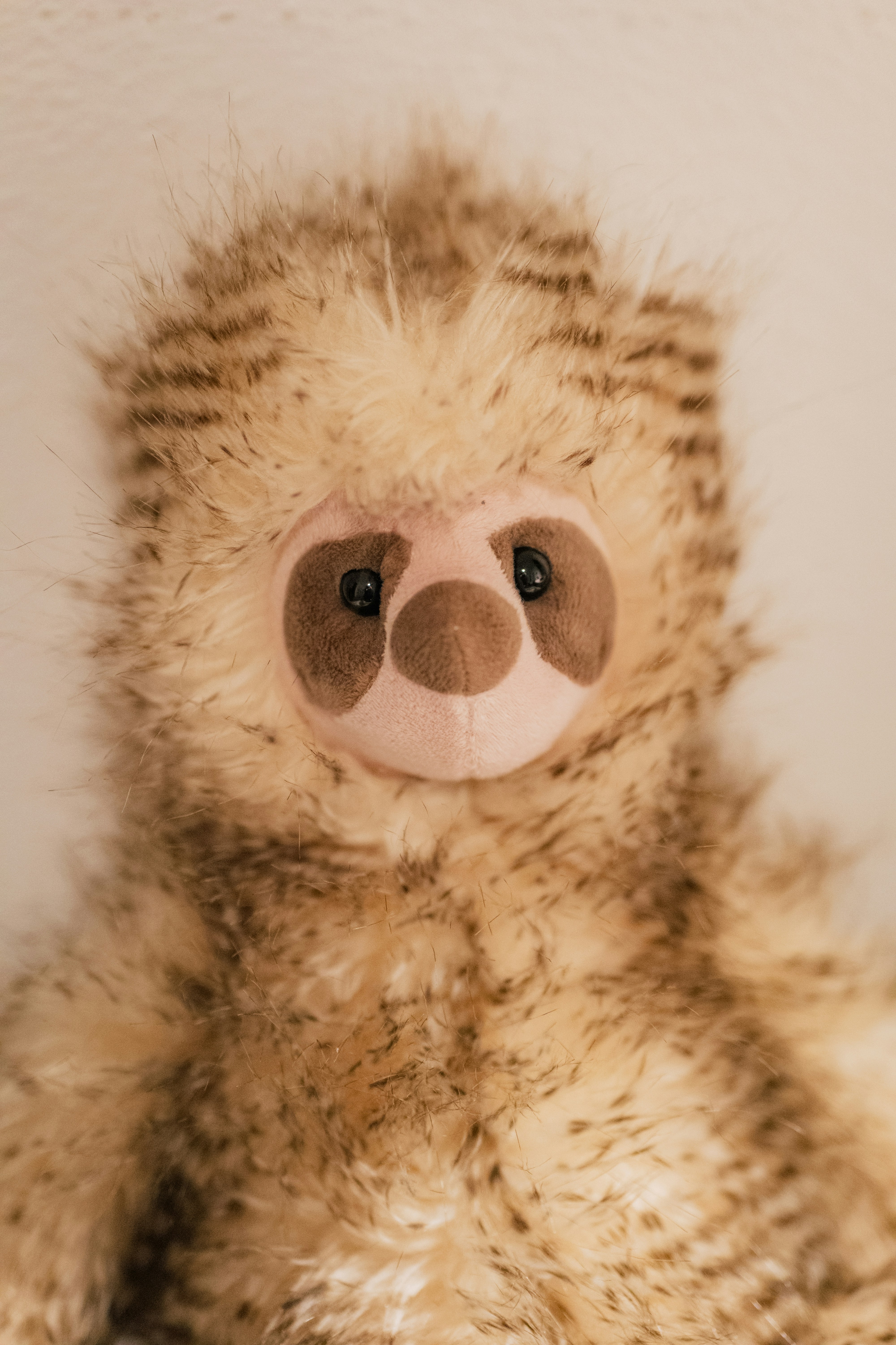 Soft-Gaze Plush: A Close-Up of a Friendly Sloth