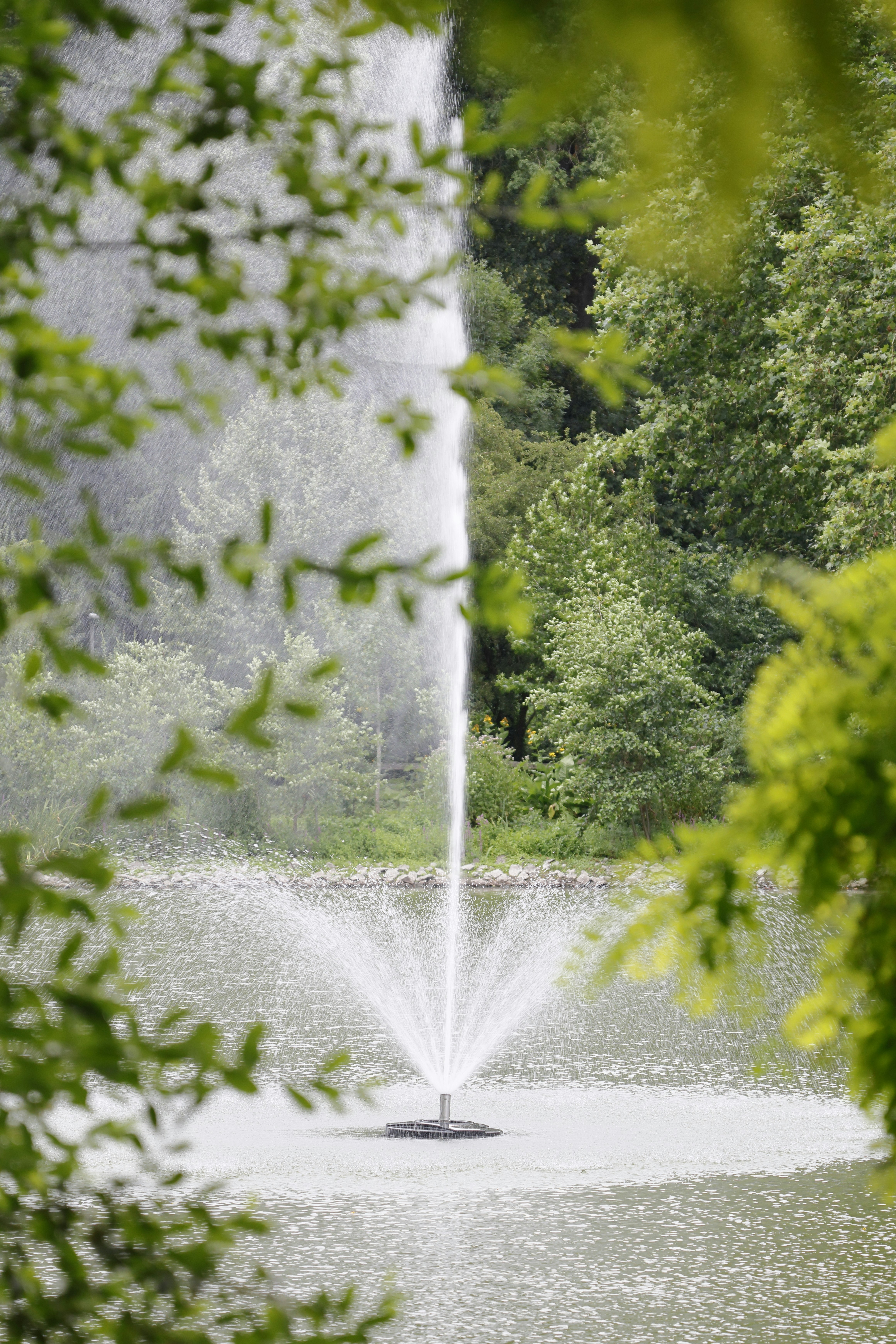Central Jet of Light: A Park Fountain Framed by Green Canopy