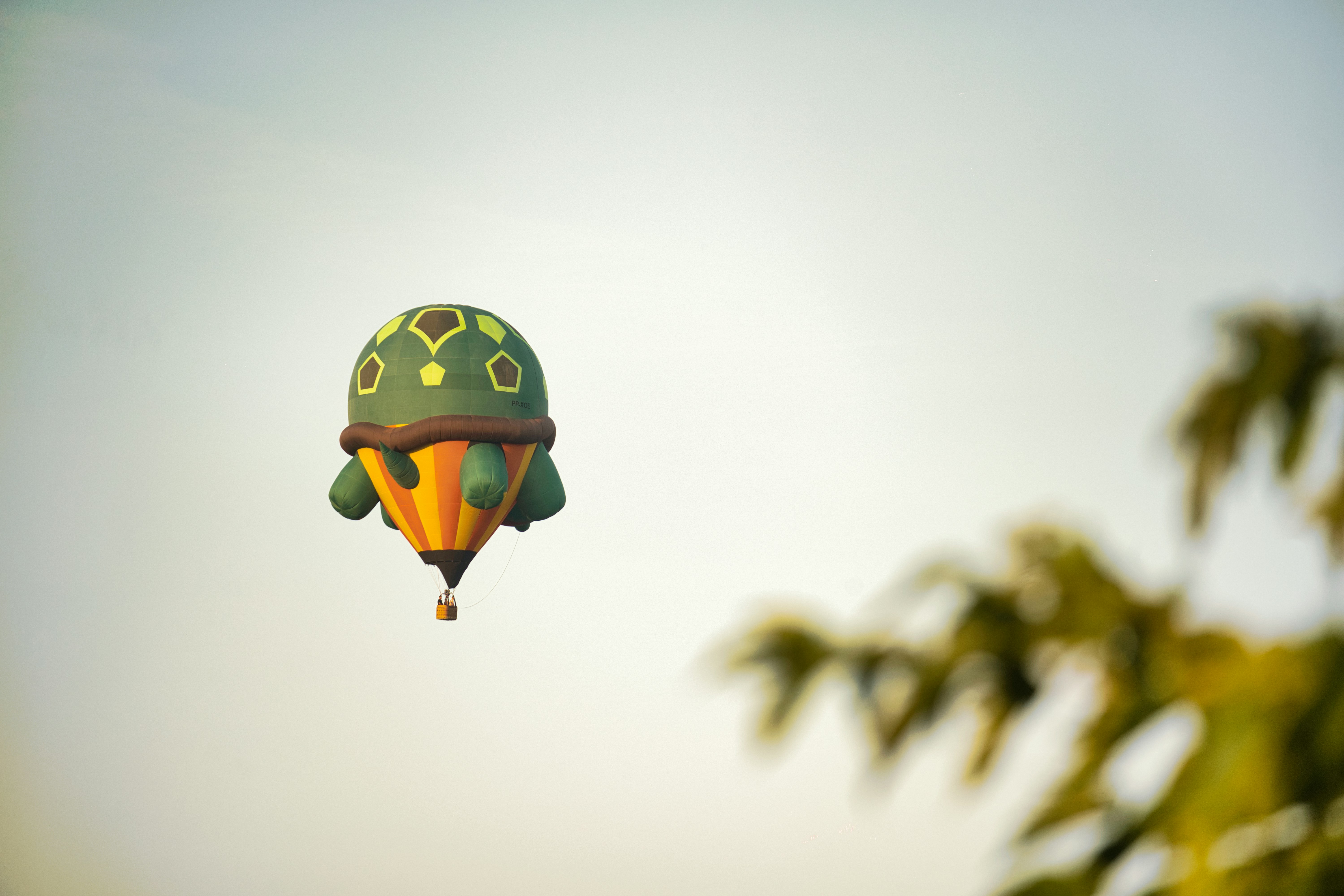 Floating Colors: A Green Balloon Dragon Drifts Above a Suburban Scene
