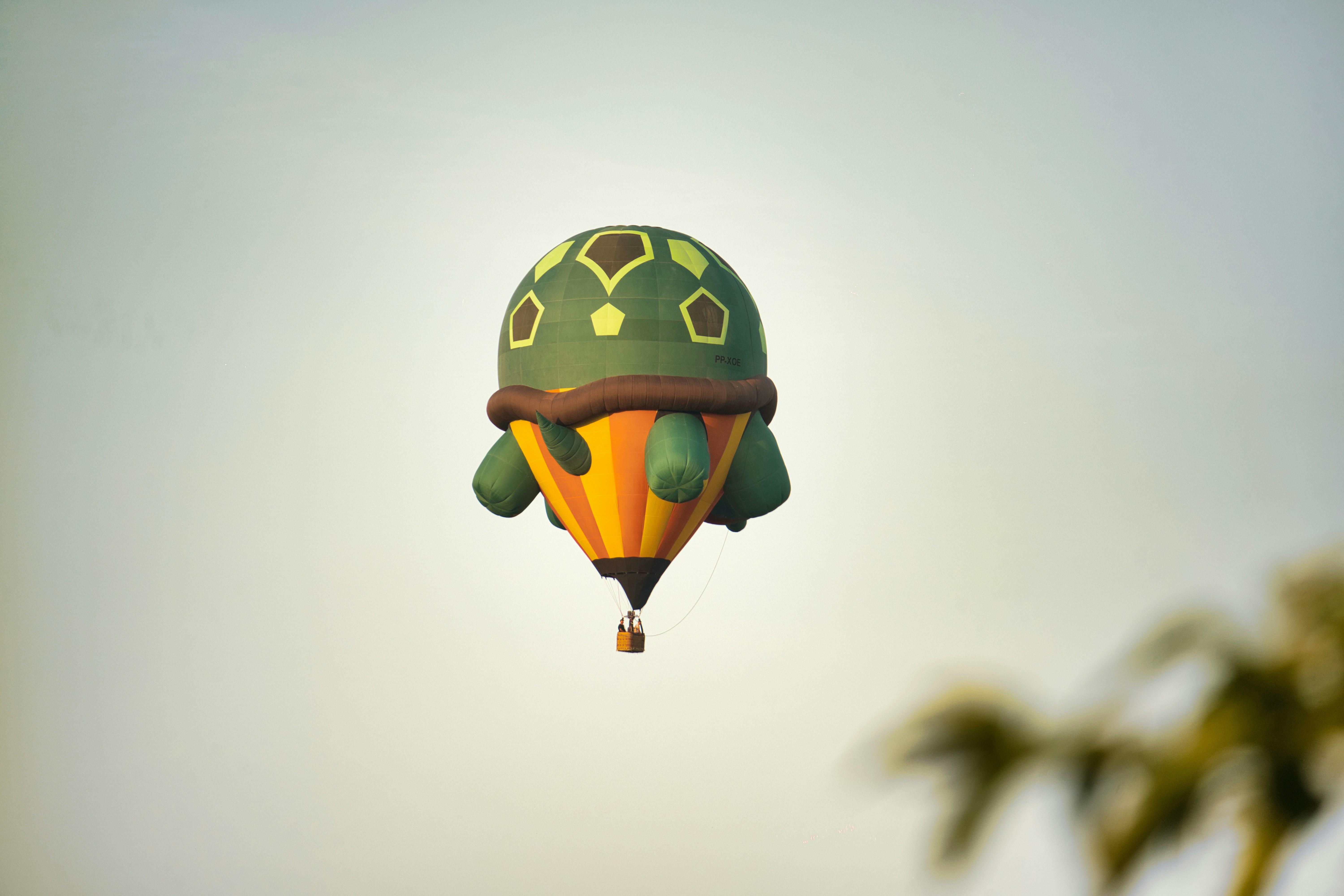 Citrus Canary Balloon Drifts Above Palm Fronds at Dusk