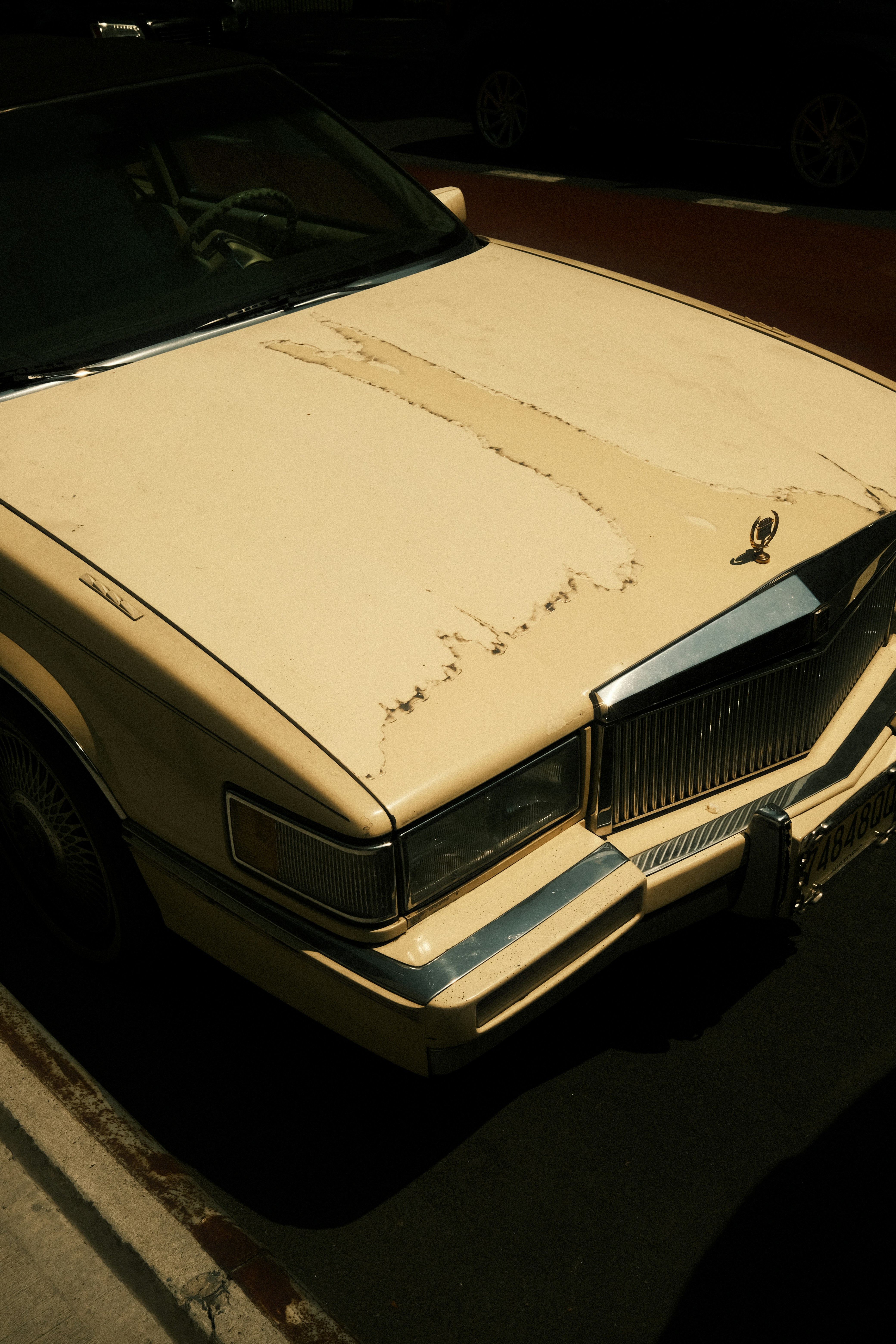Beige Classic: Weathered Hood Reflects a Bygone Drive