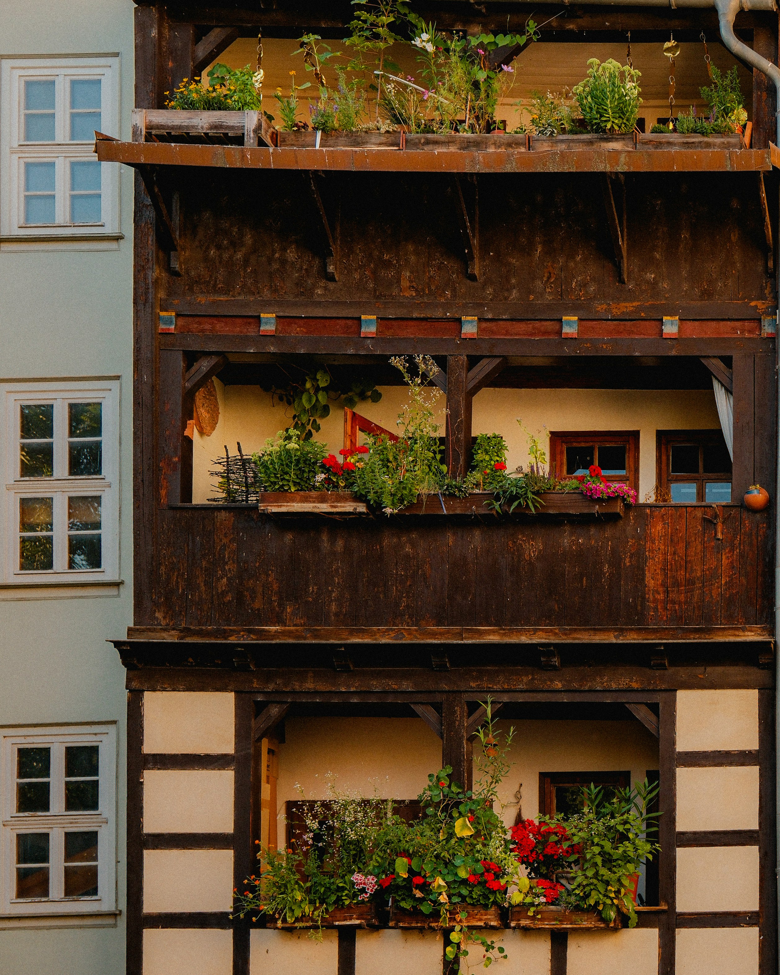 Rustic Balcony Veranda: Urban Garden on a Shell of Wood and Stucco