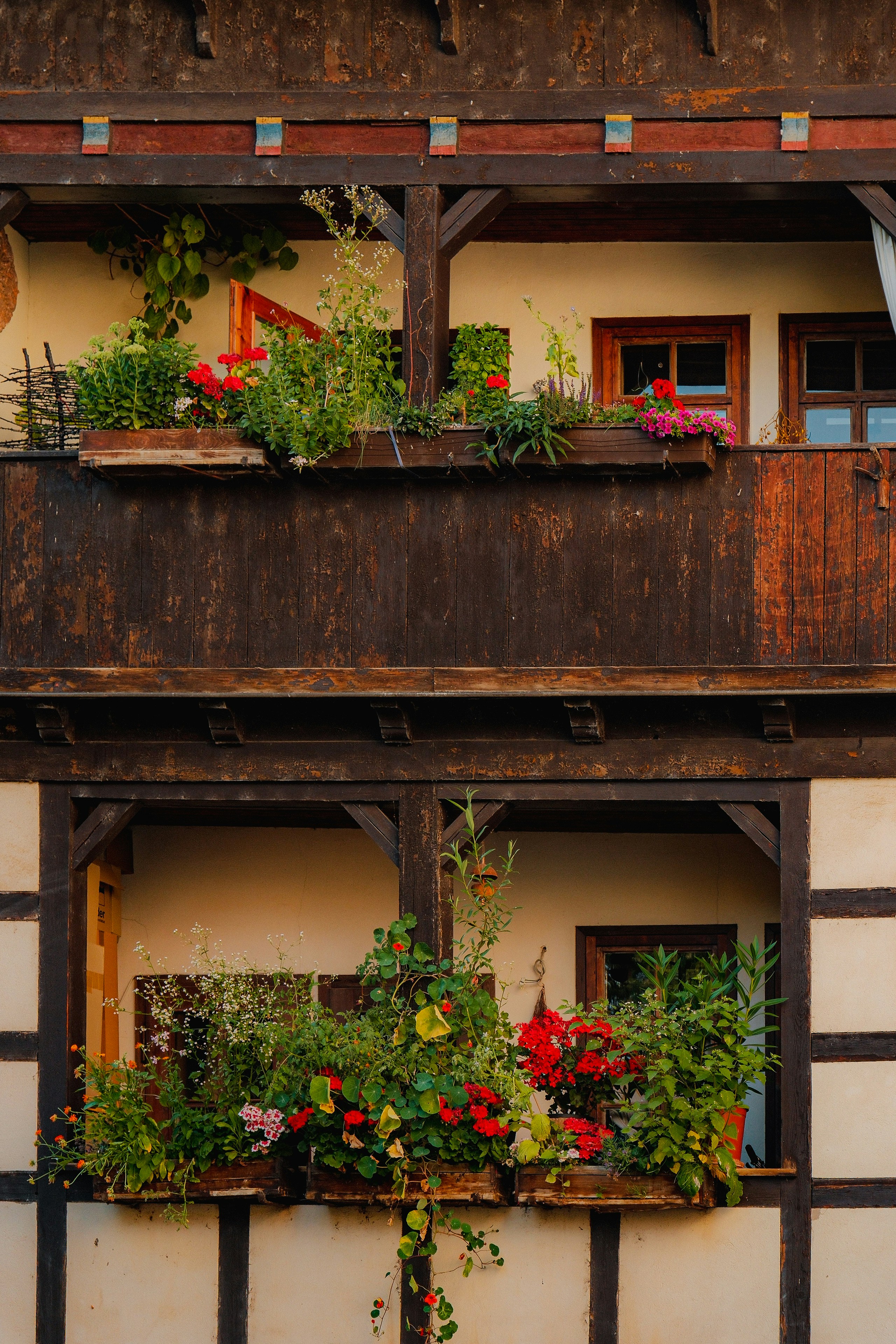 Balconies in Bloom: Tiered Rustic Facade with Verdant Windowsills