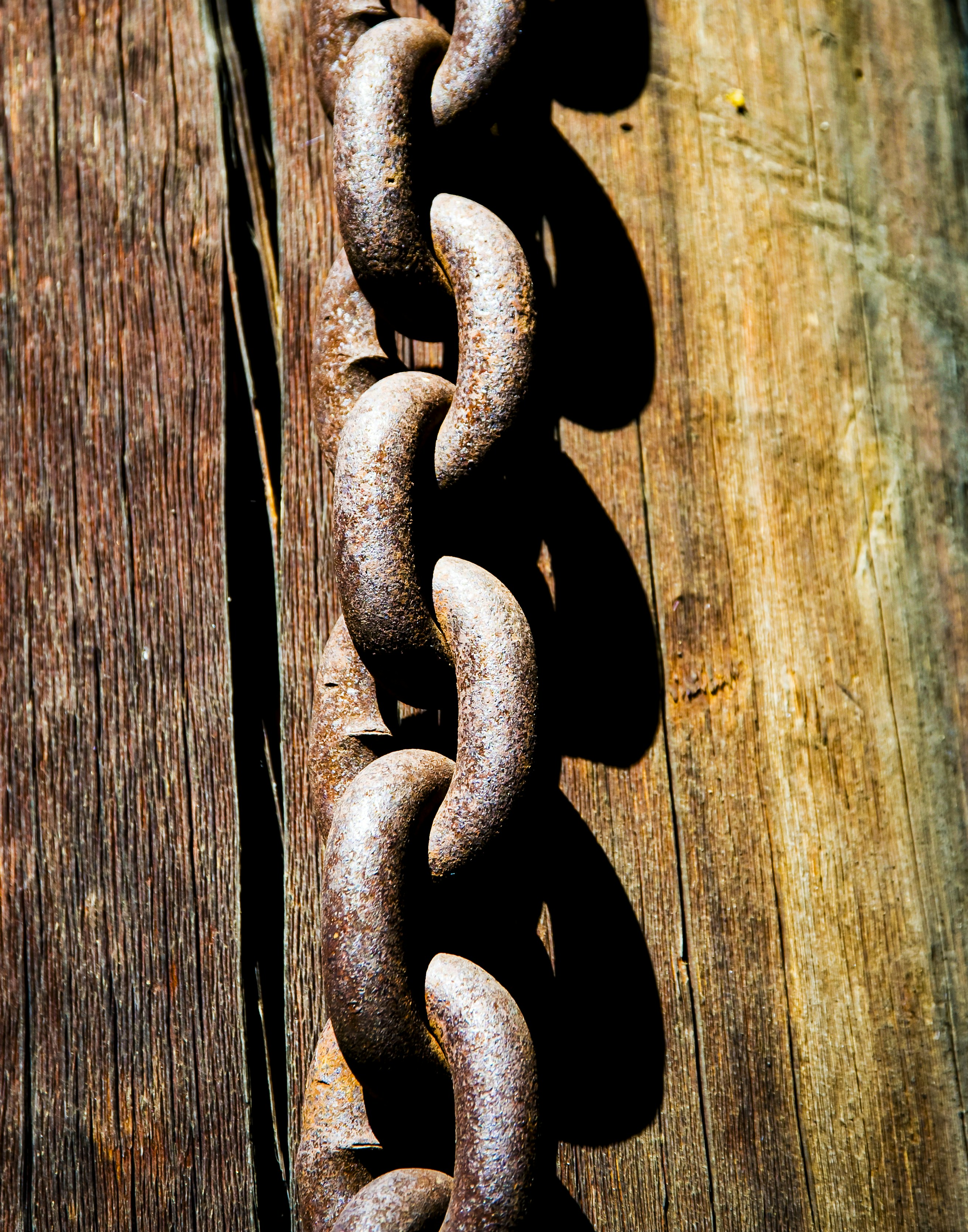 Rusted Chain Clinging to Weathered Wood