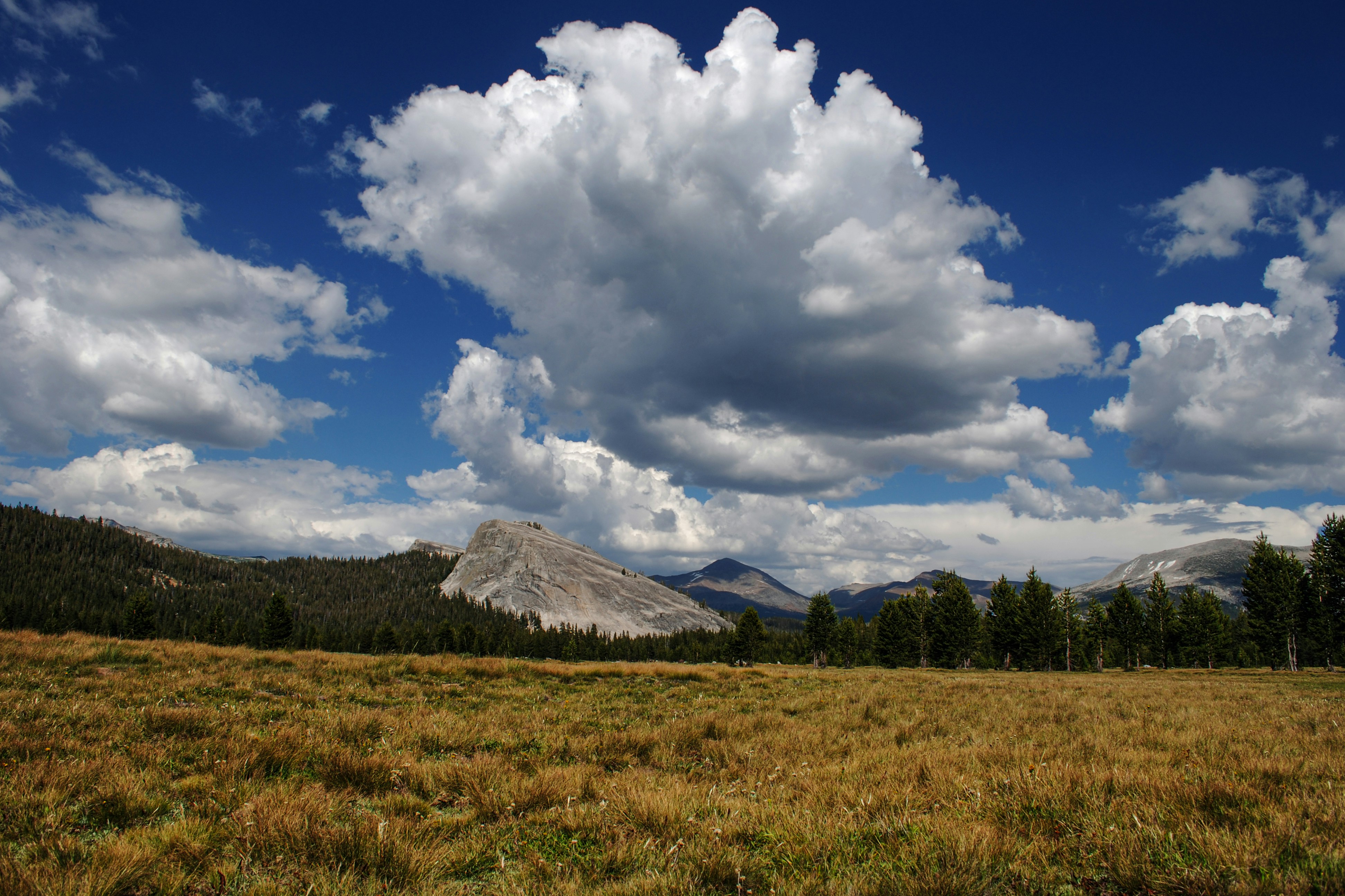 Clouds over a Golden Meadow: A Quiet Mountain Vista