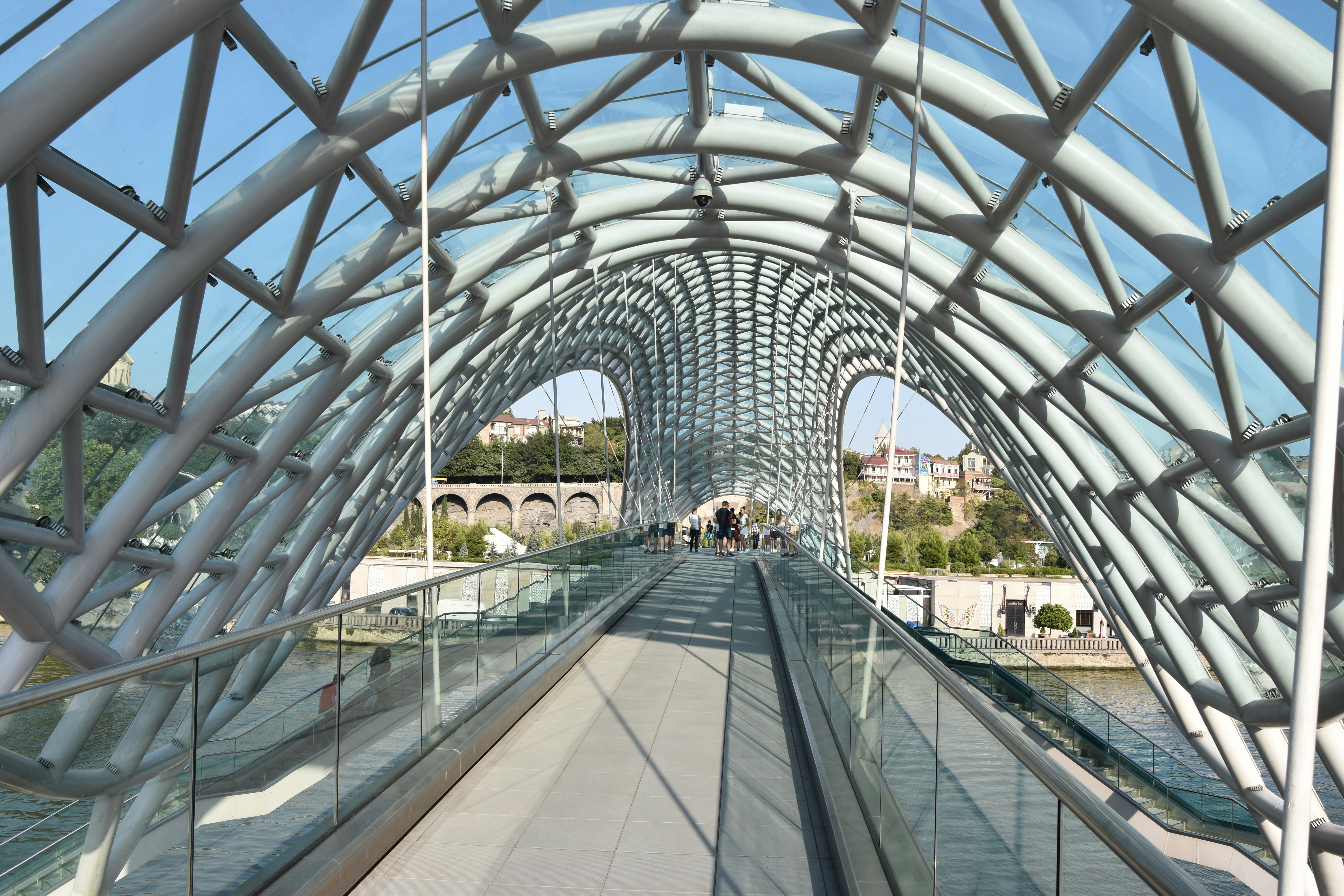 Crossing the Serpentine: A Glassy Spine of Metal and Light