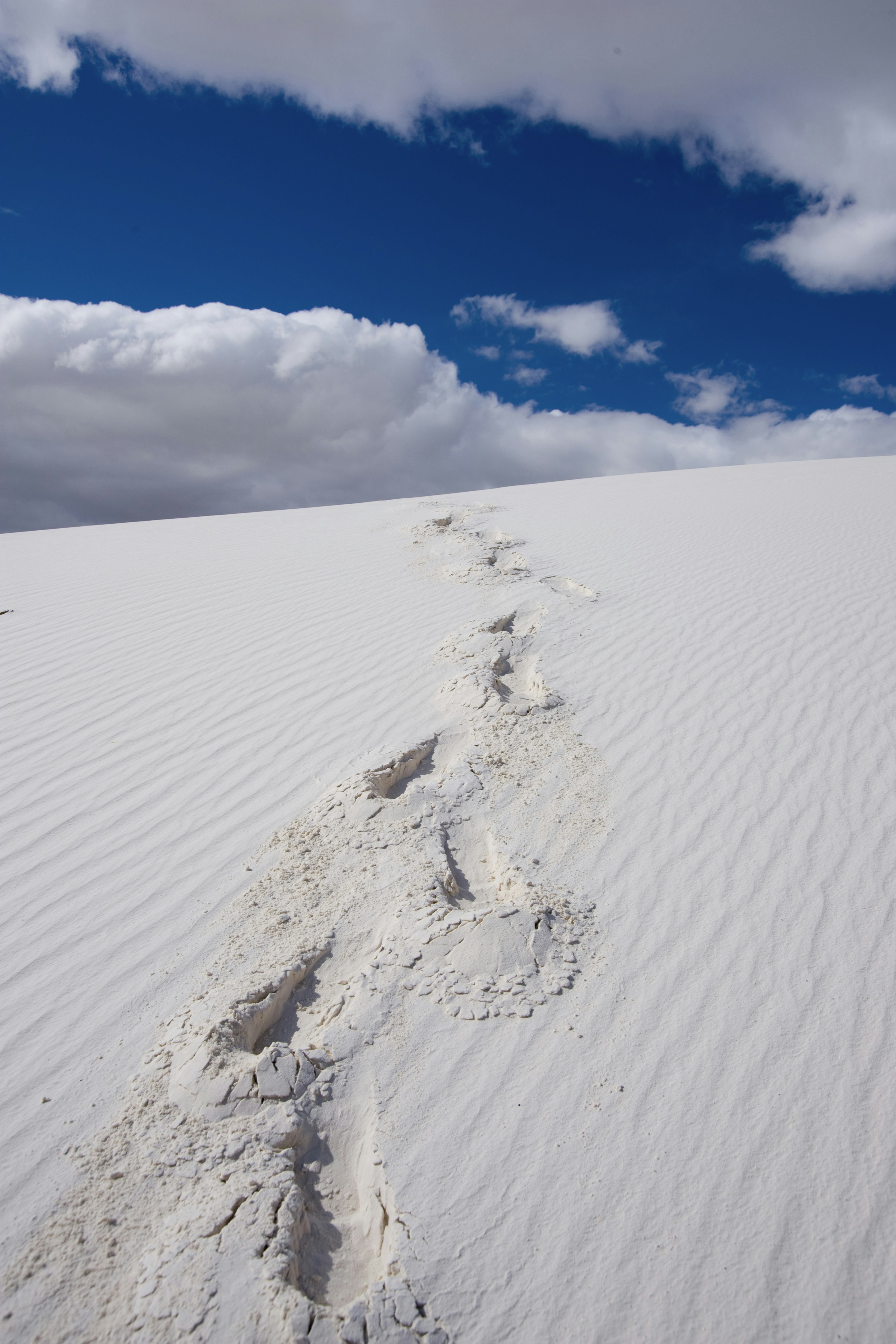 Footprints in a Bright Snow Dune Under a Deep Blue Sky
