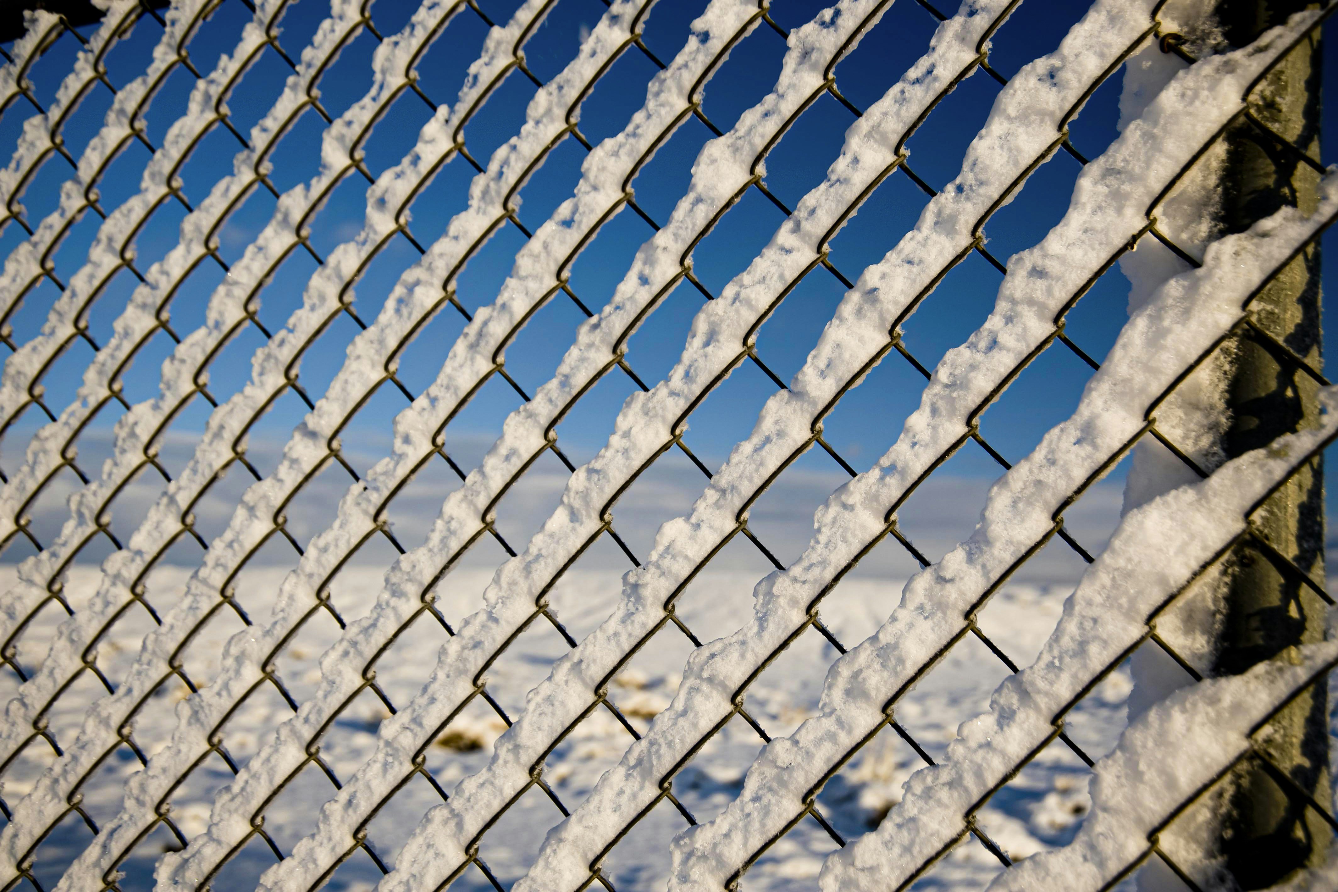 Winter Mesh: Snow-Covered Chain-Link against a Blue Sky