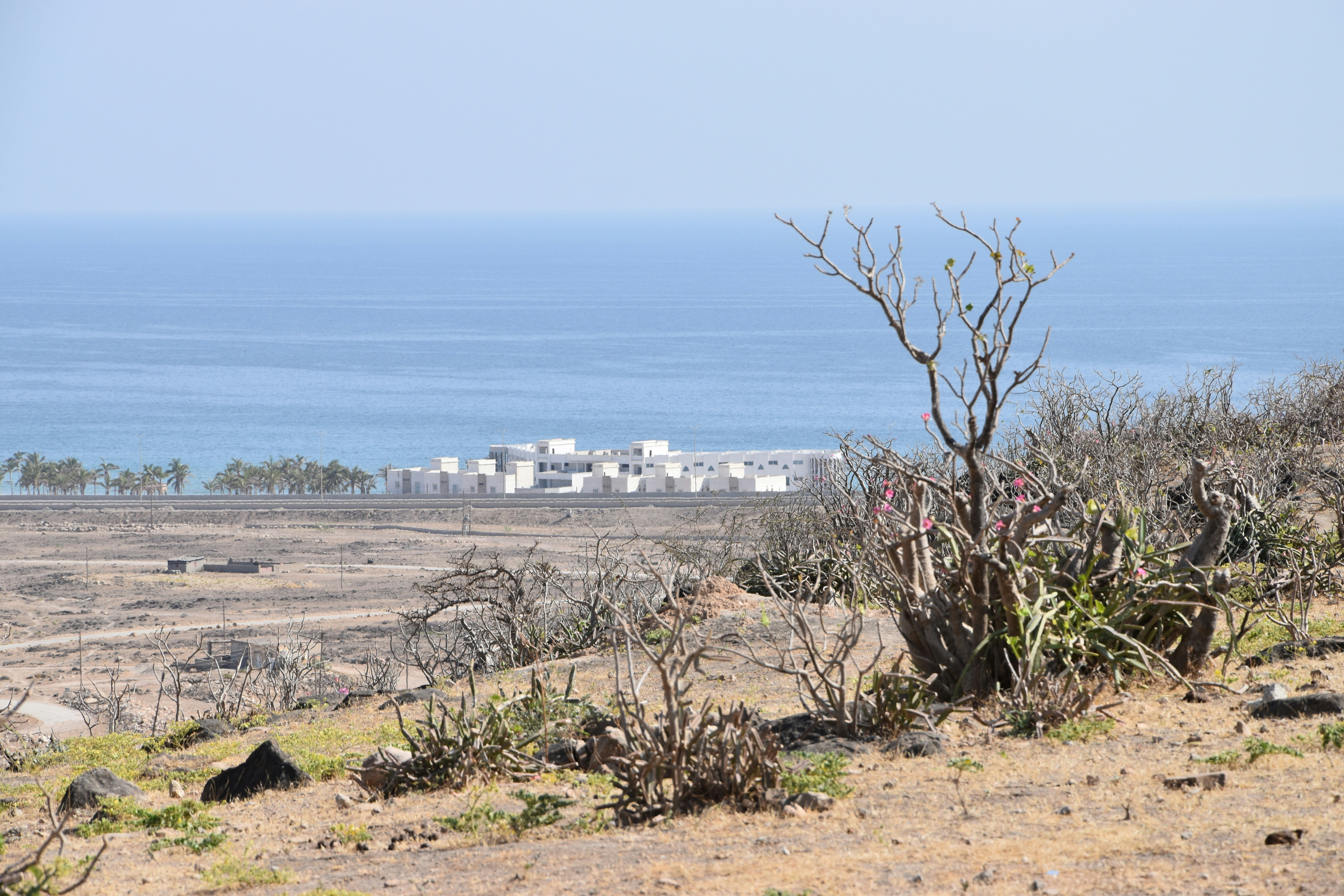 Azure Horizon Over a Dry Coastal Field