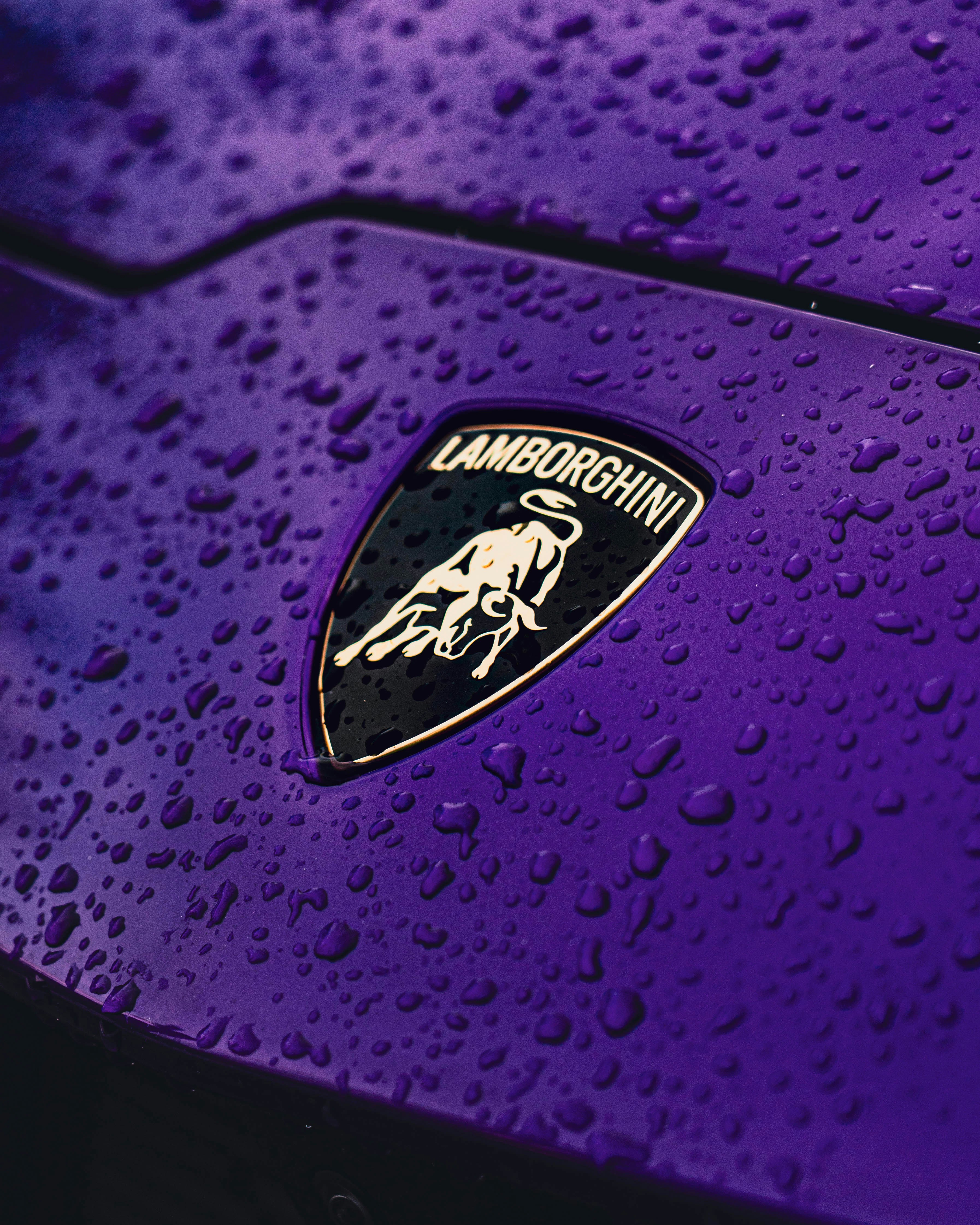 Liquid Metal: The Purple Lamborghini Emblem in Raindrop Cadence