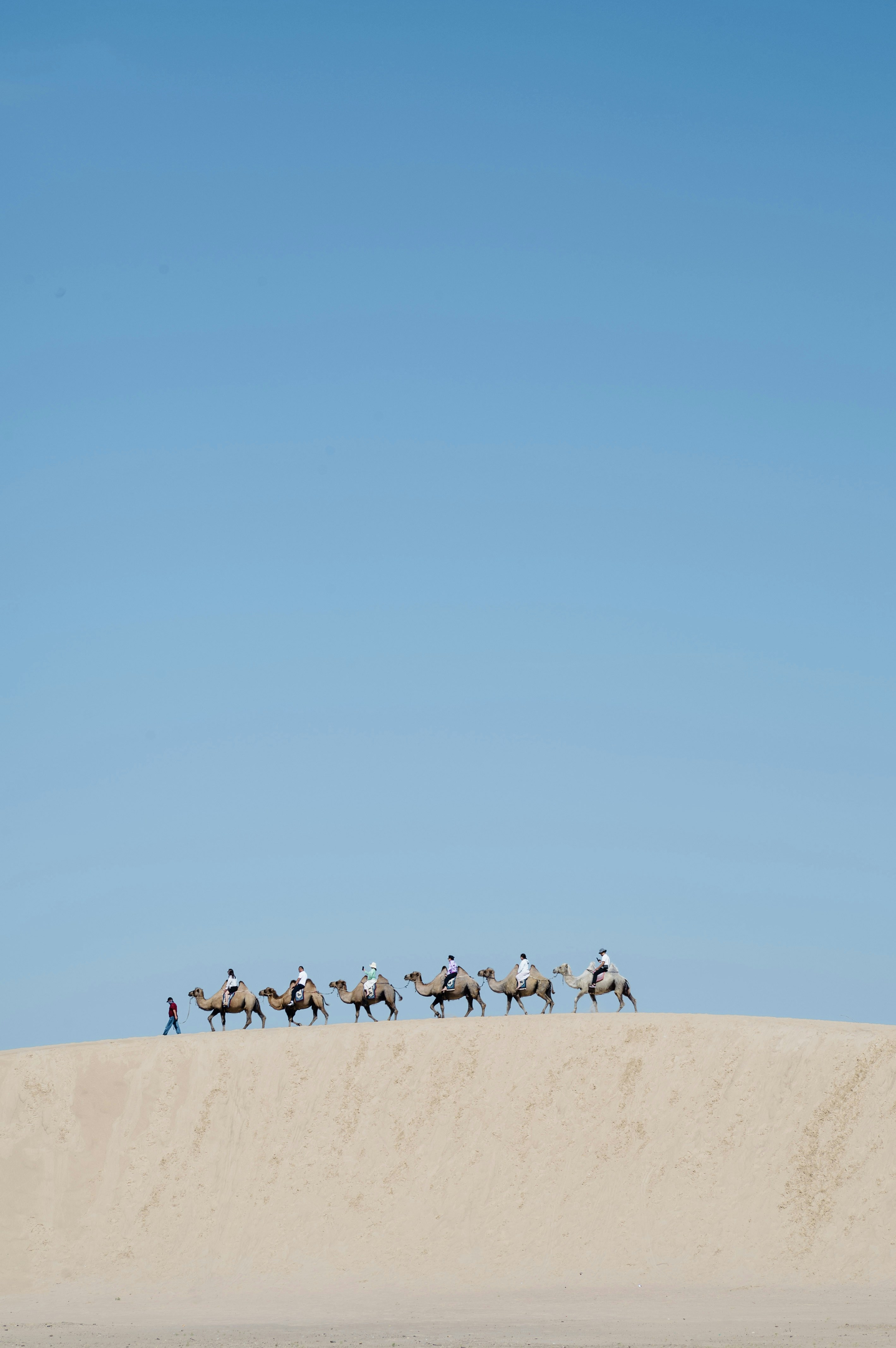 Caravan of Riders Along a Dune Ridge Under a Wide Blue Sky