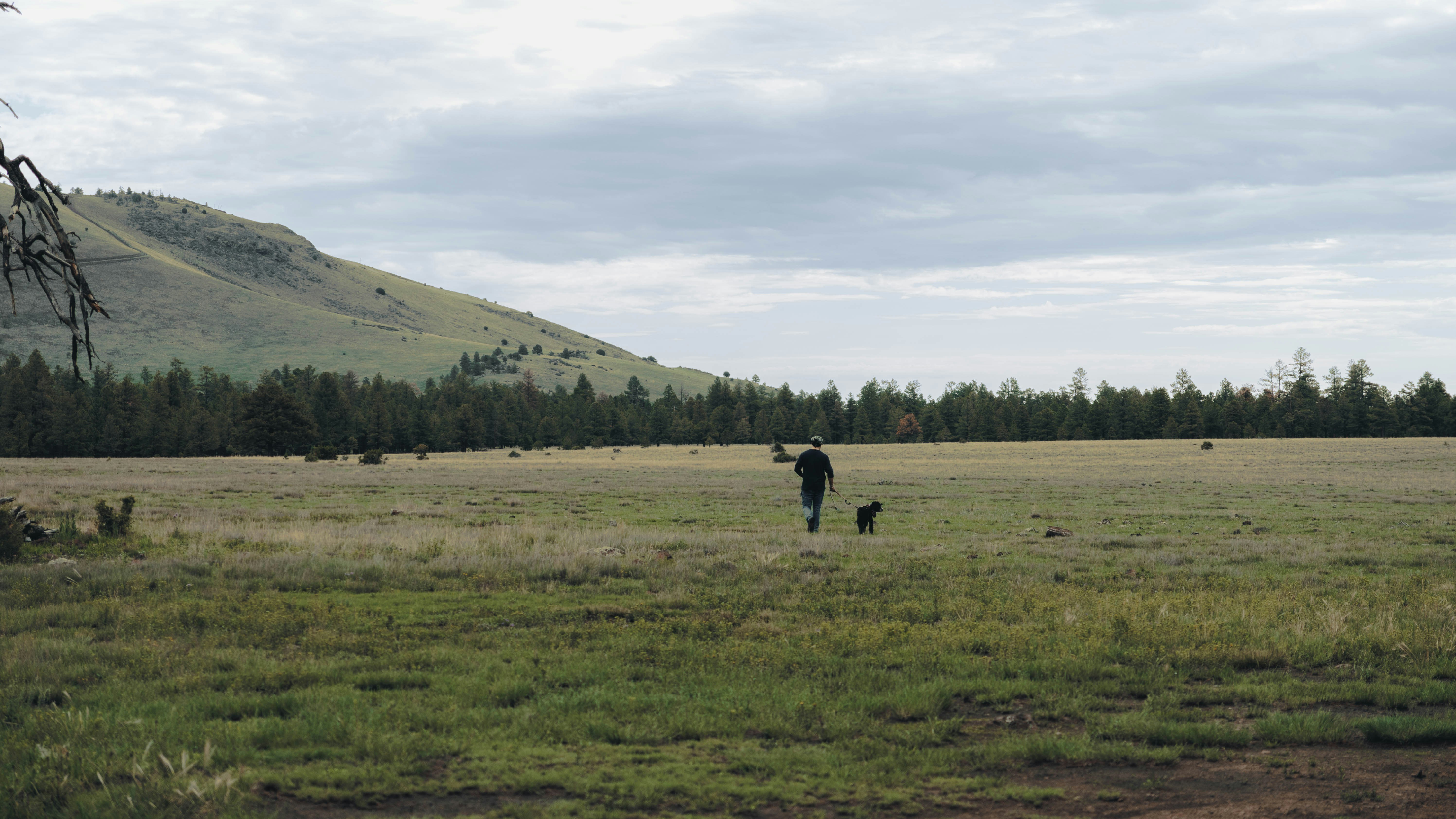 A person with a dog traverses a vast grassy plain beneath a cloudy sky, with a distant treeline and hillside backdrop.