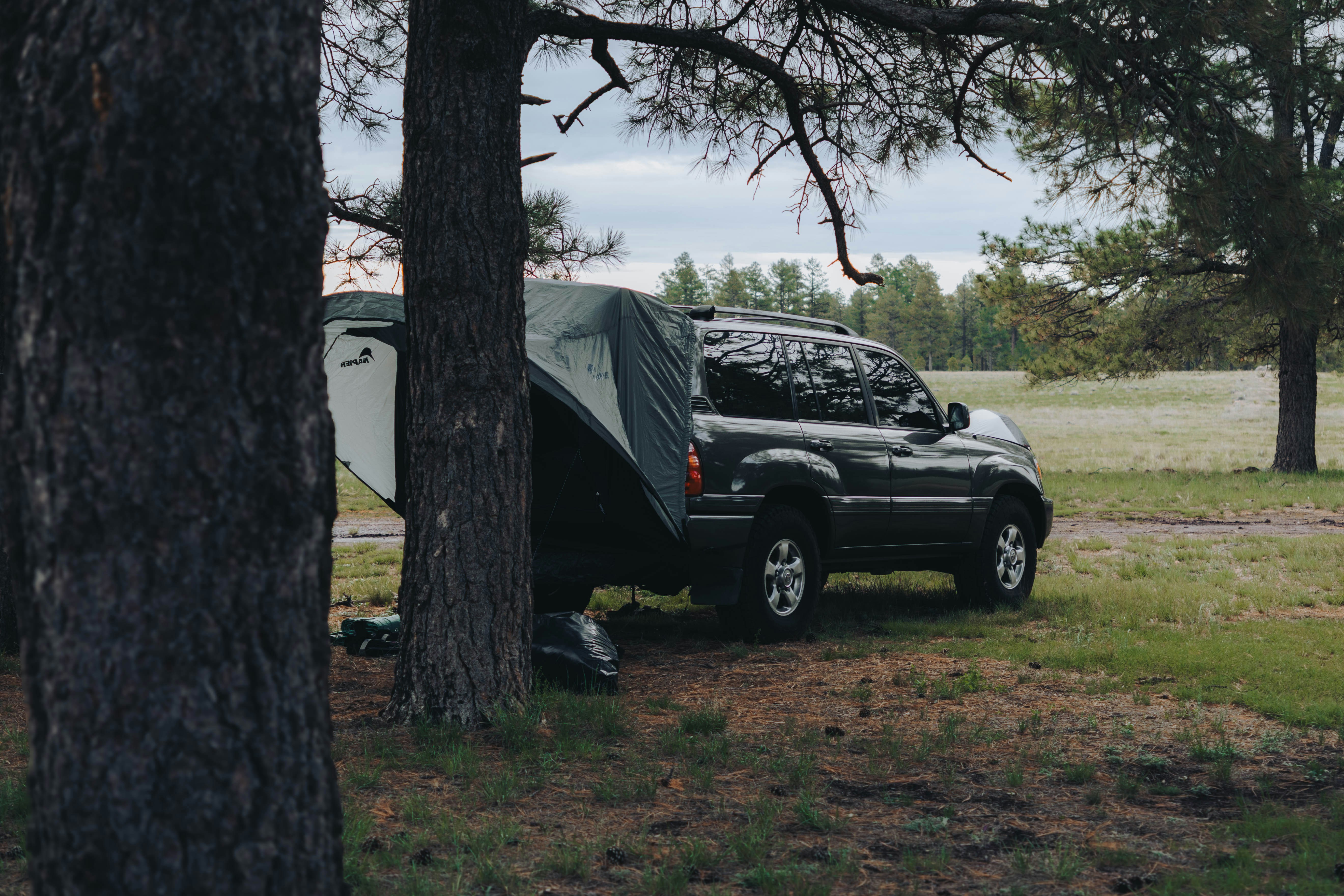 Camp Lanterns and Closed Doors: A Quiet Campsite by the Pines