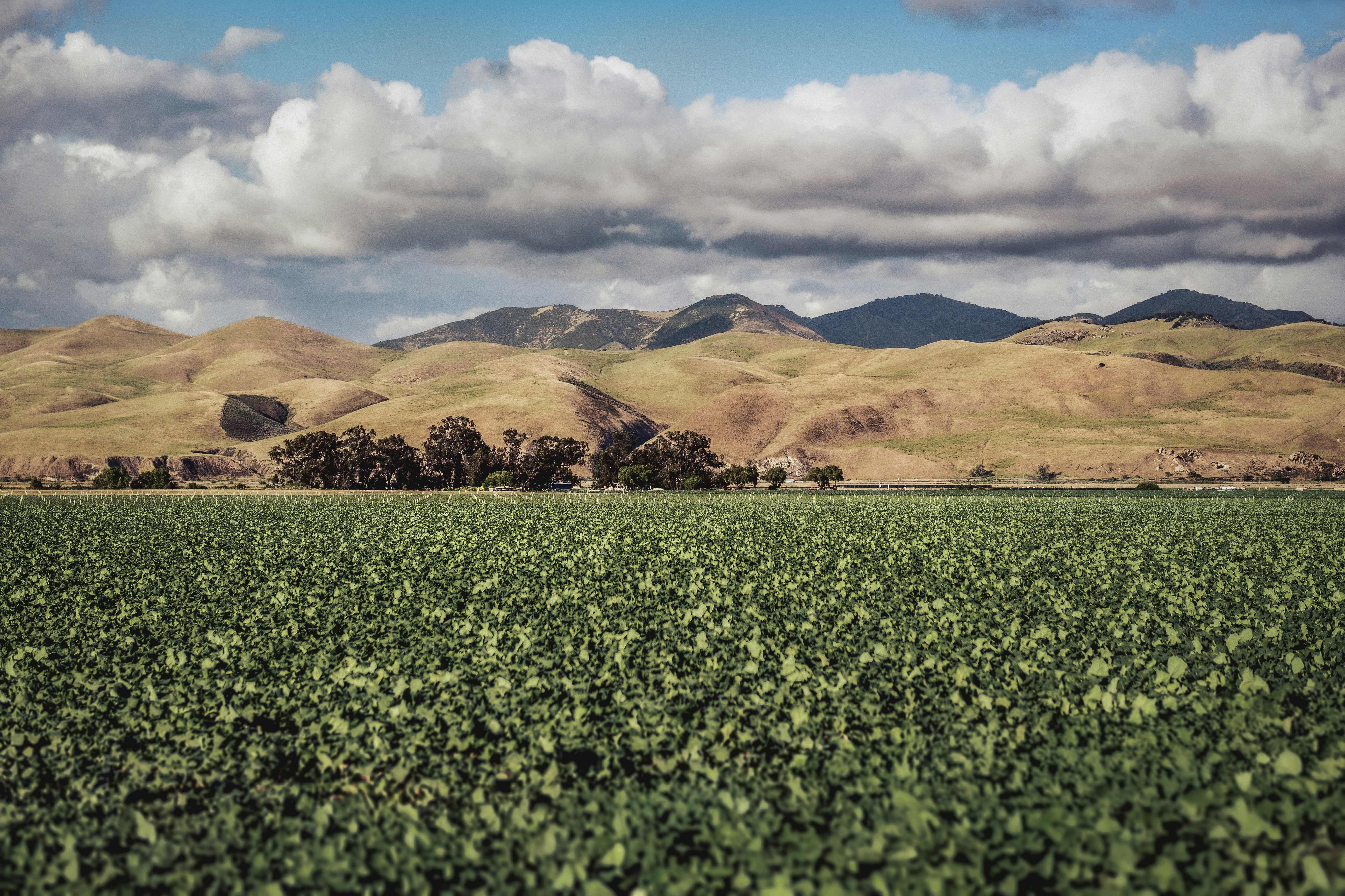 Lush green field stretches toward distant rolling hills under a partly cloudy sky; a tranquil agricultural landscape with distant trees and a rugged mountain backdrop.