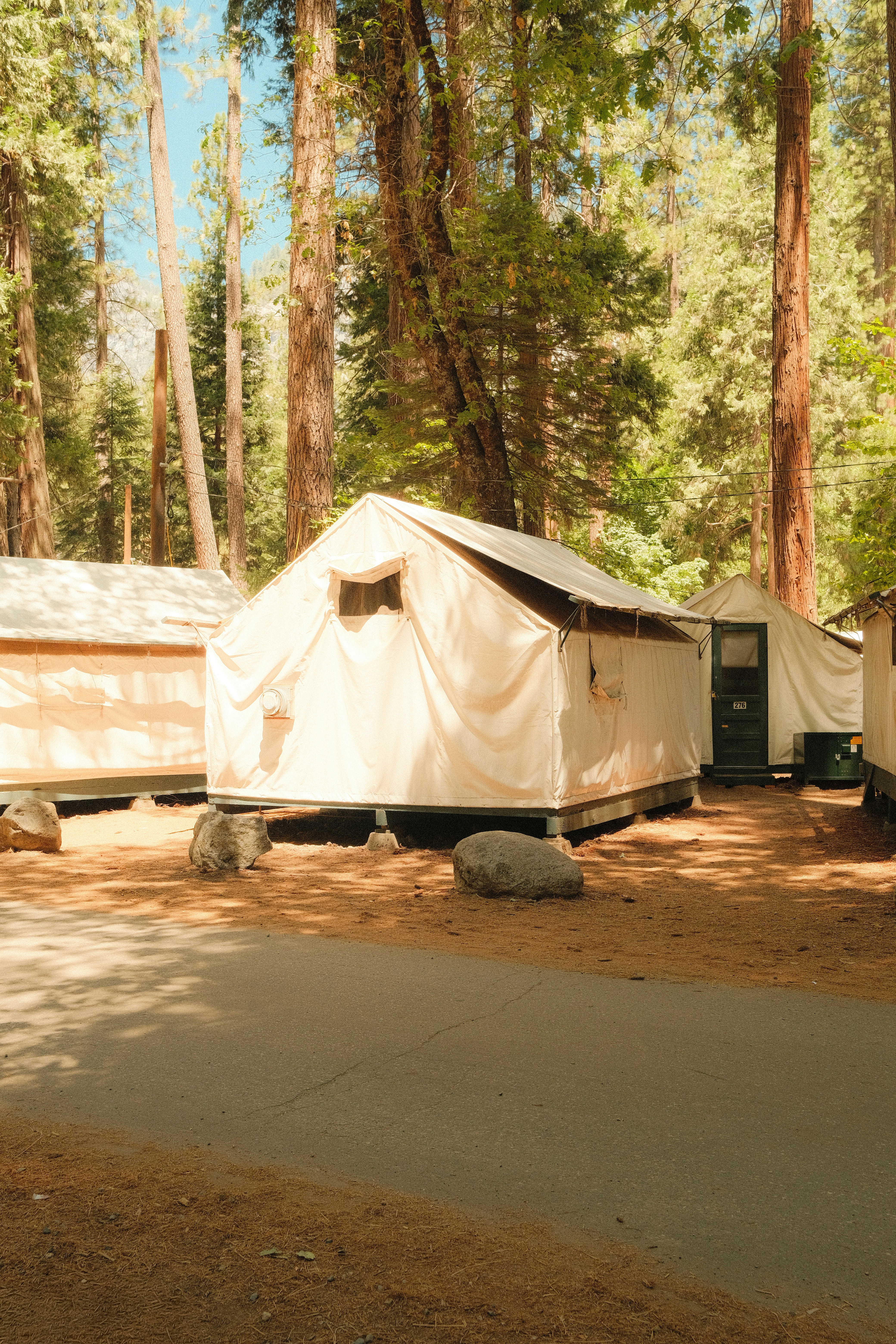 Encampment in the Pines: A Quiet Campsite Bannered by Tents