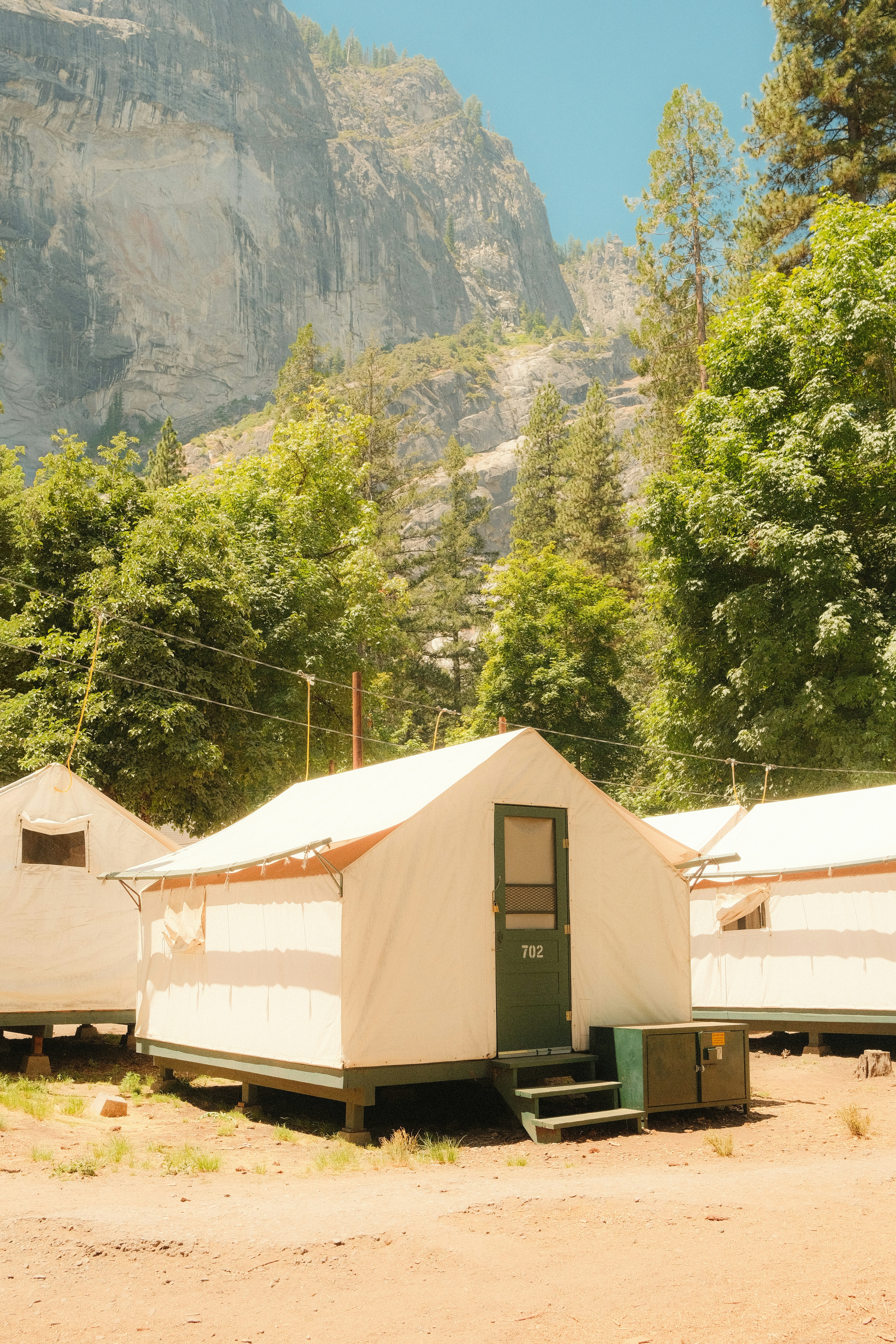 Sunny Glade Campsite with Open-Front Tents Under Cedar Pines