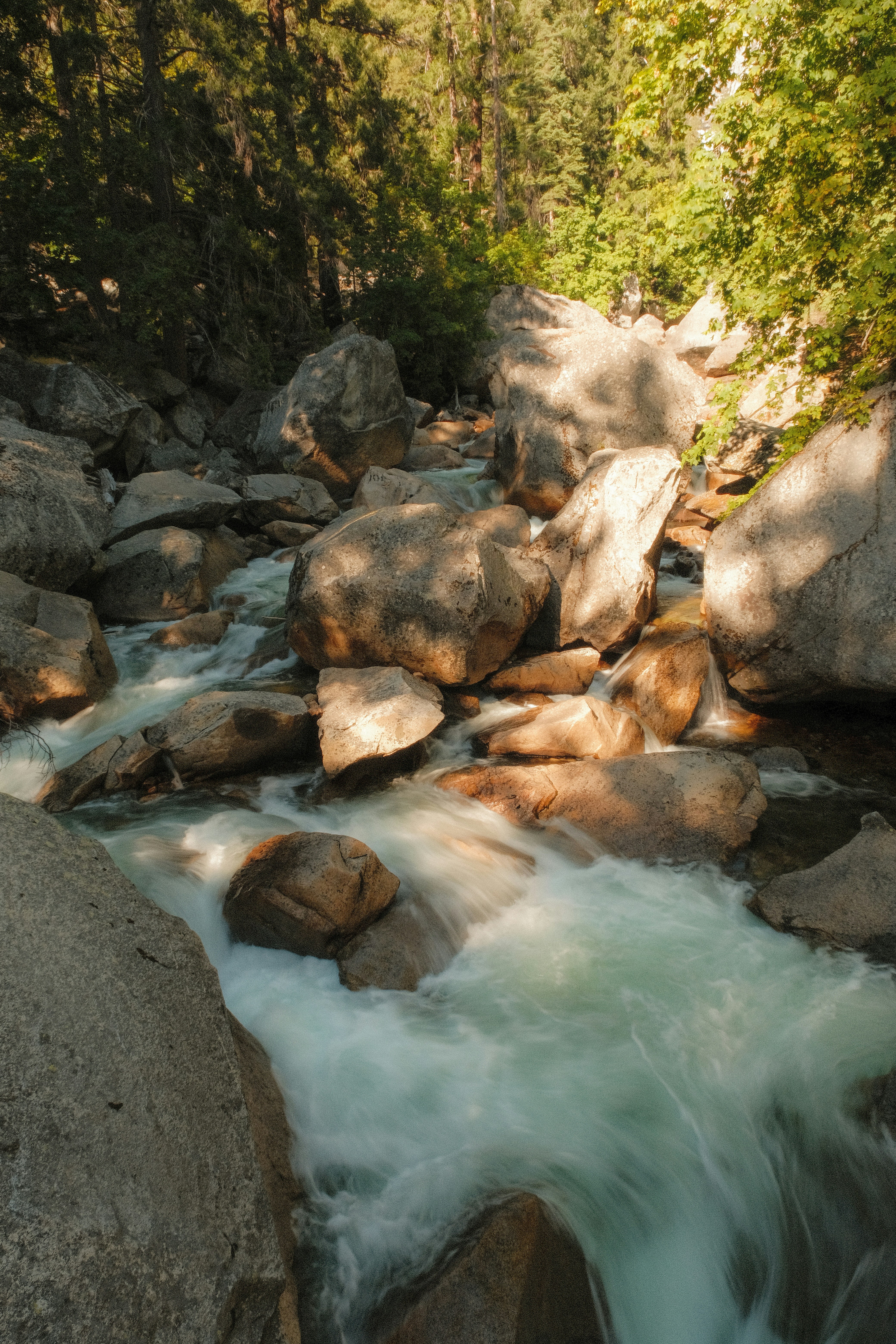 Rushing Stream Among Granite: Sunlit Pines in a Mountain Gorge