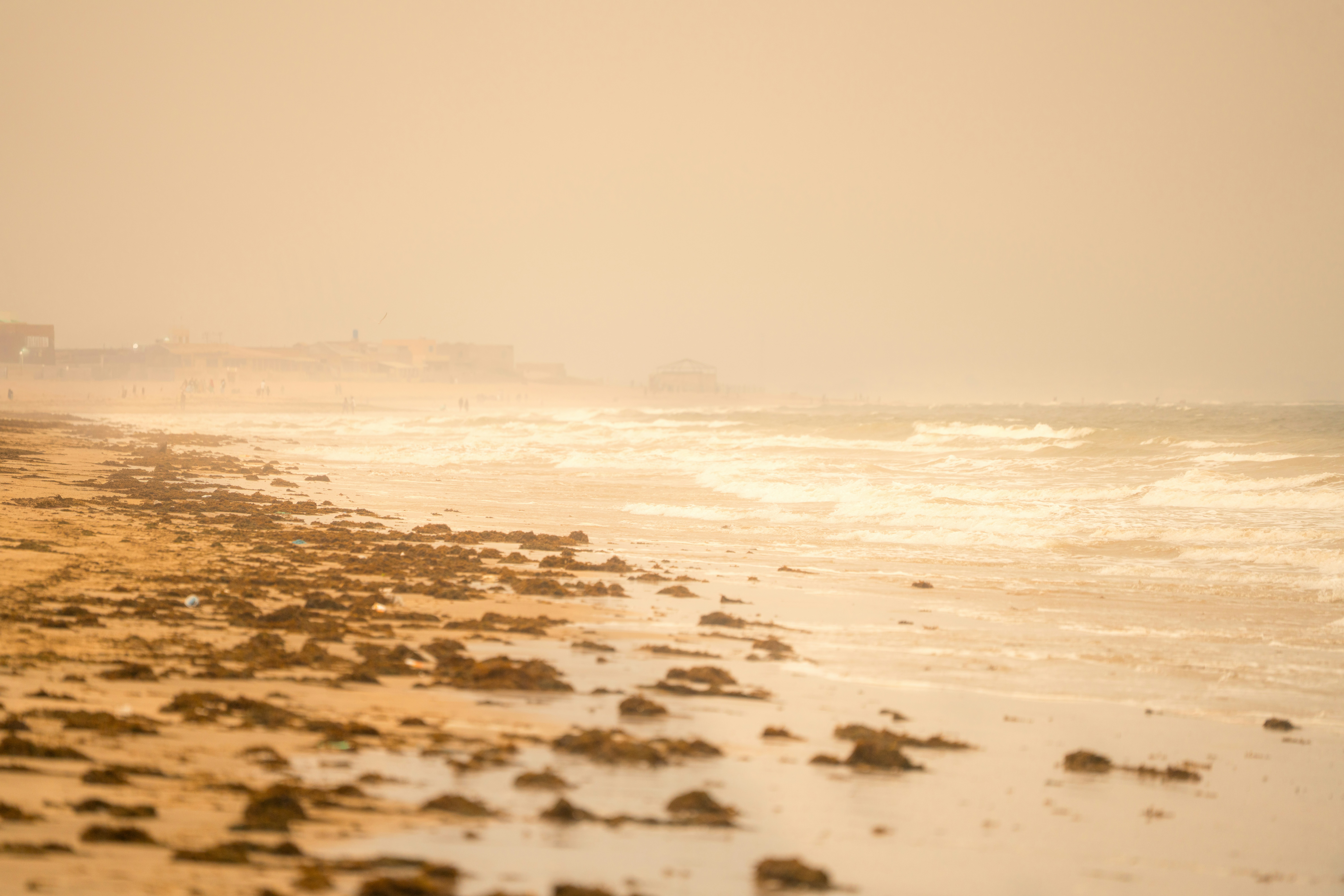 Low-Tide Horizon: Sunlit Sea Mist Over a Distant Shore