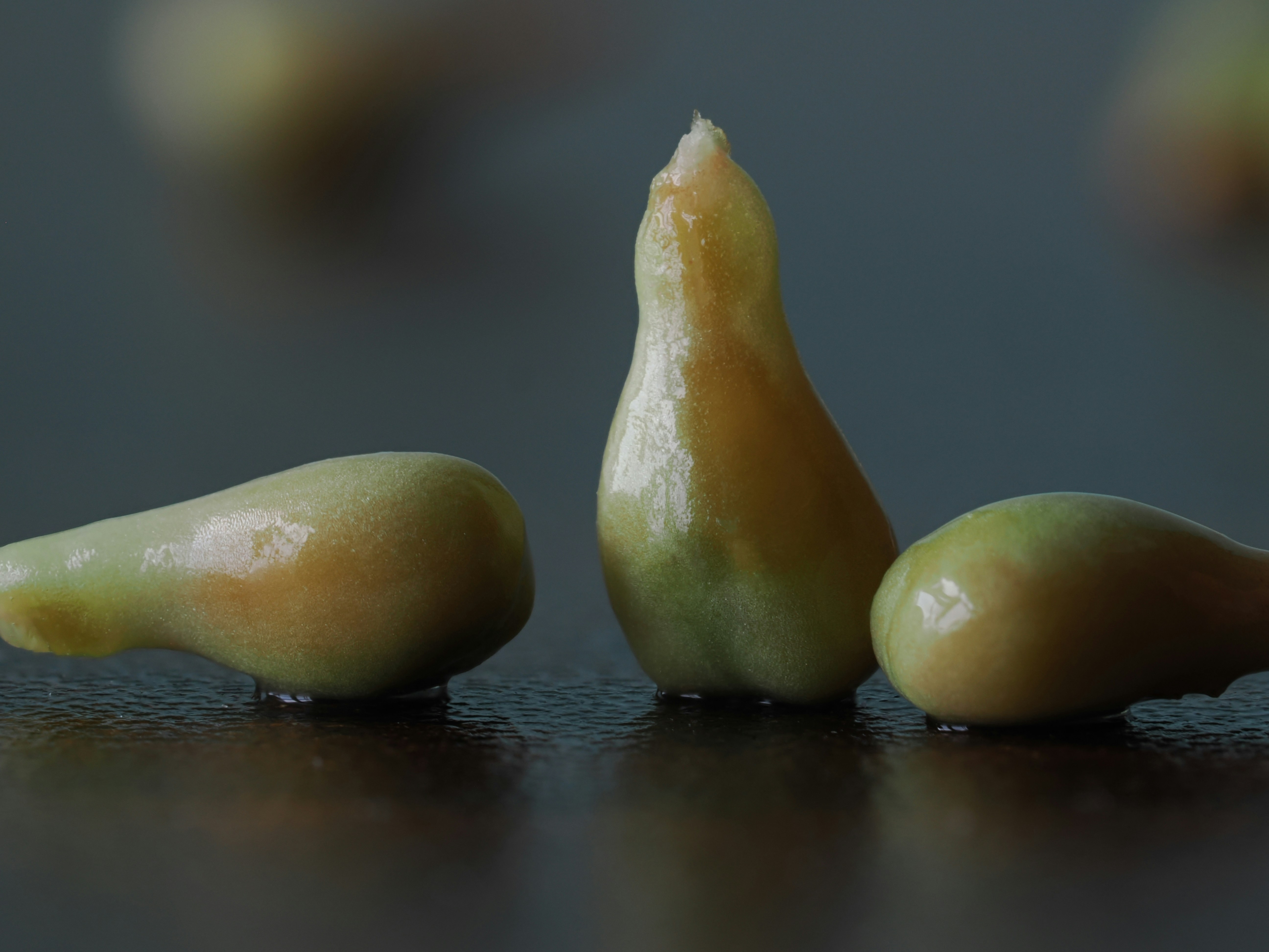 Close-up of pale, bean-like objects resting on a dark, reflective surface with a soft, blurred background.