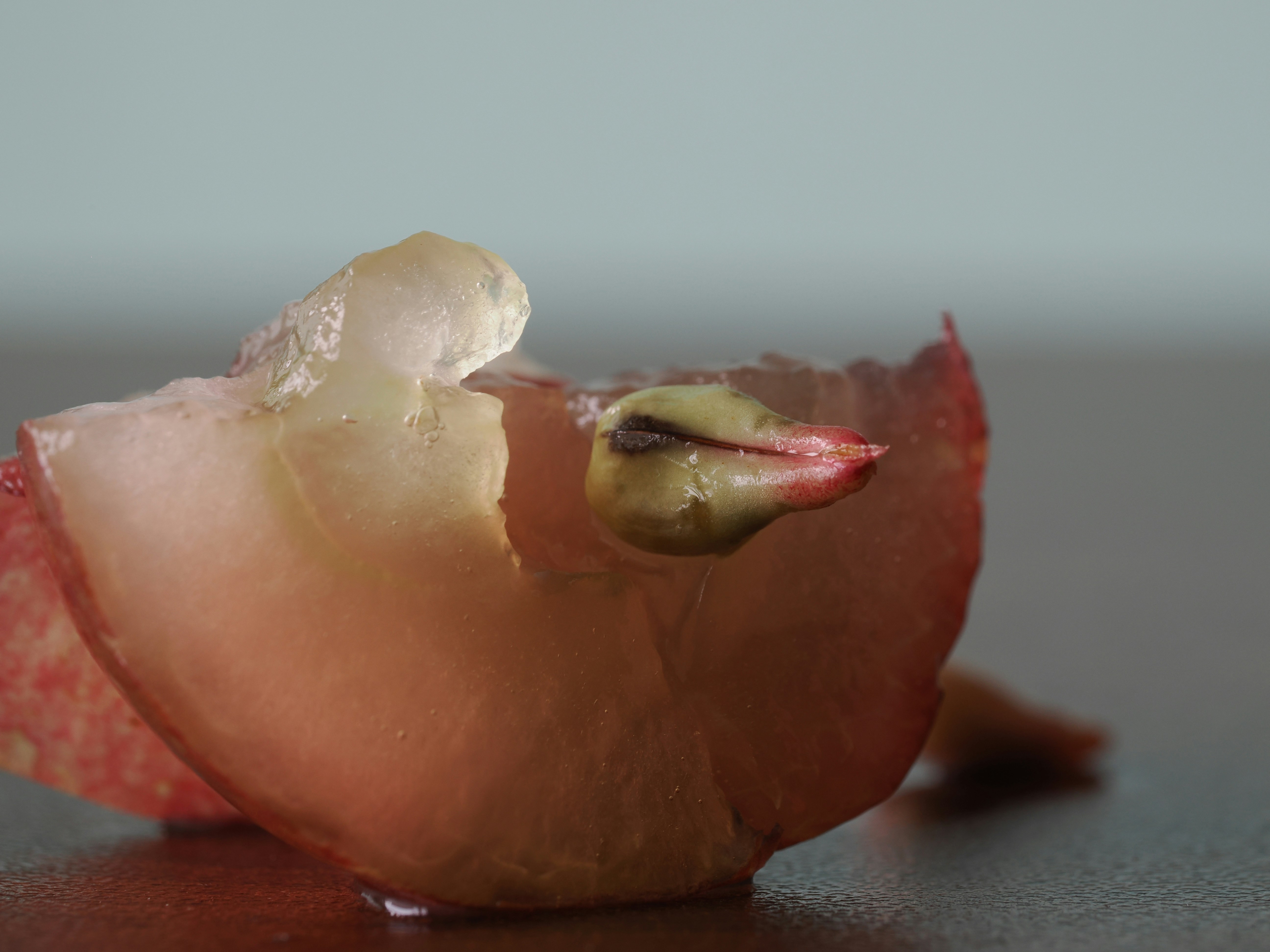 Close-up of a partially peeled fruit slice with a single seed-like object emerging; shallow depth of field emphasizes the exposed texture and subtle translucence of the flesh against a soft, neutral background.