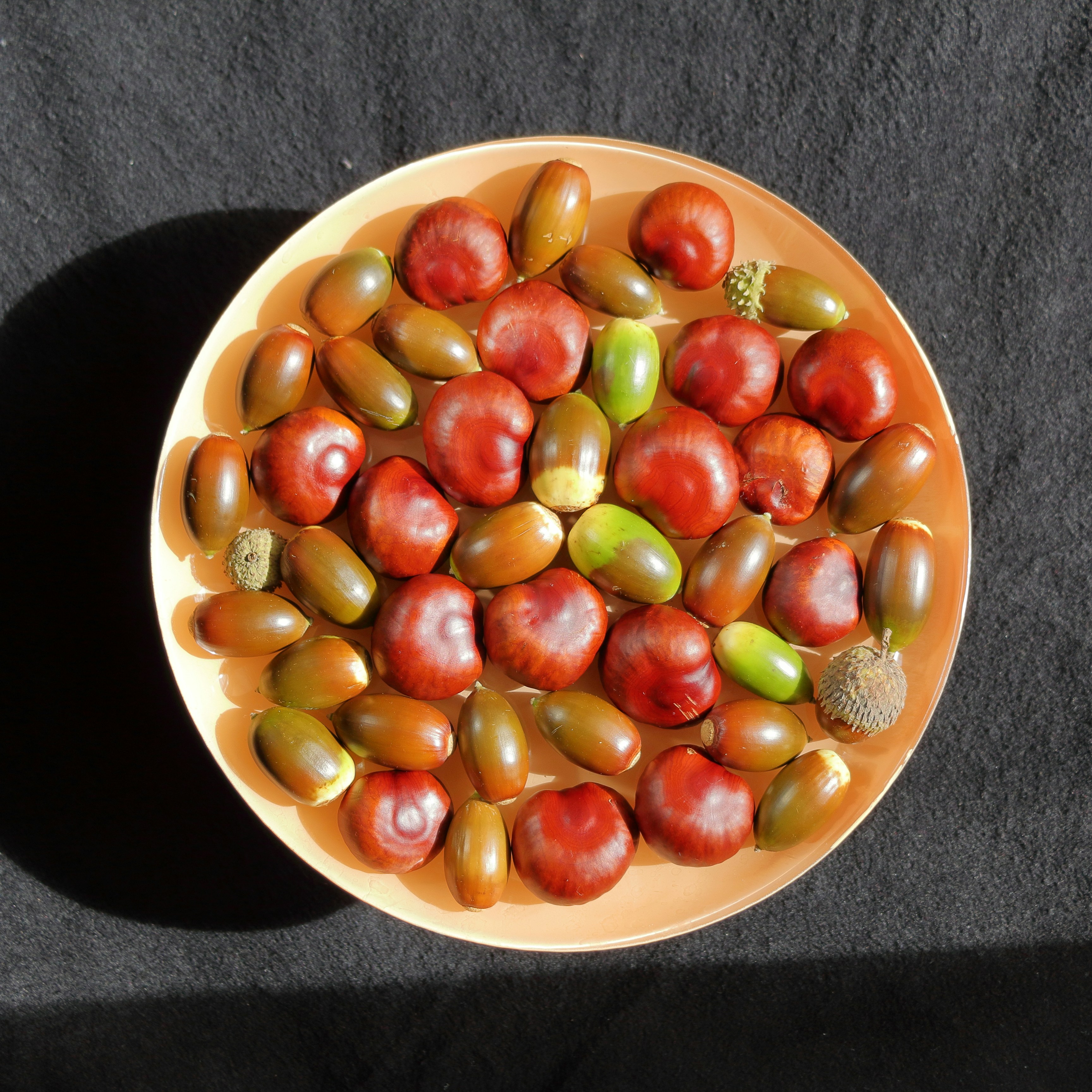 Plate of Chestnut-Red Berries Spilling from a Peach Ceramic Bowl