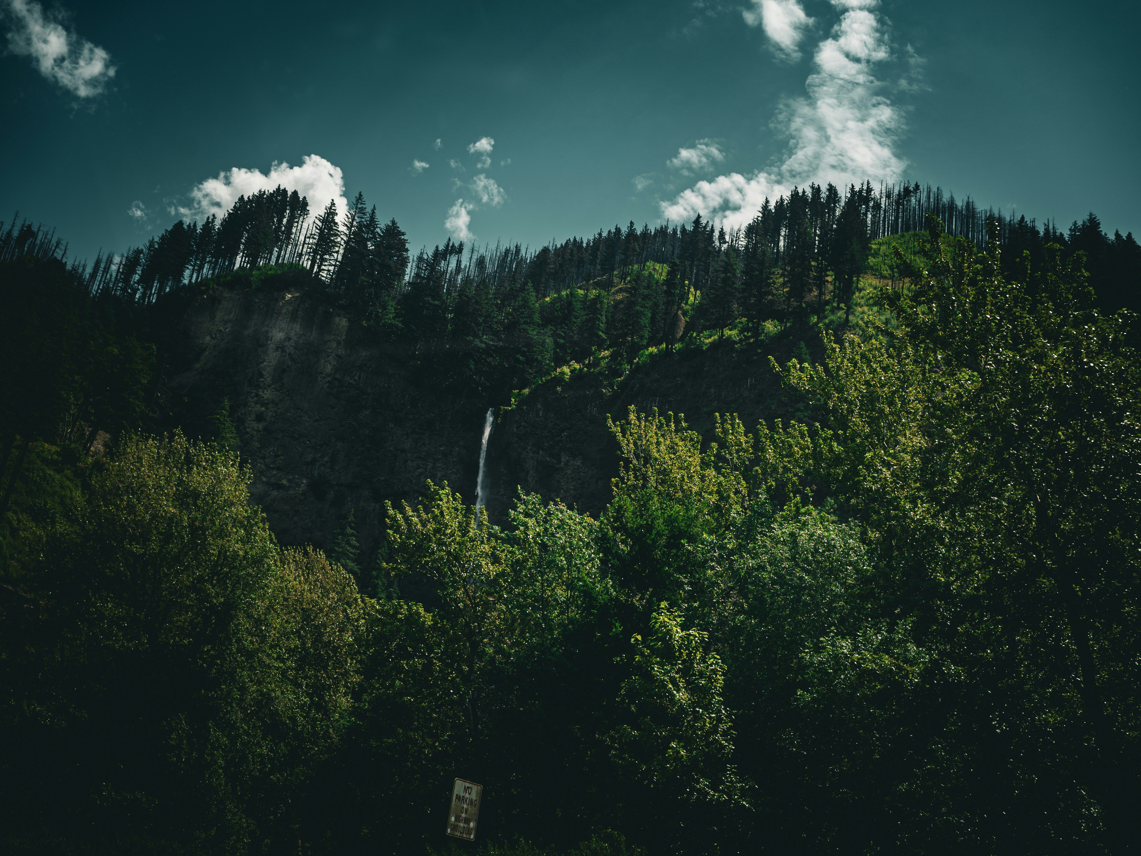 Dense forest at base with a distant waterfall spilling from a cliff, under a moody sky; a natural landscape scene emphasizing layered trees and a hidden cascade.