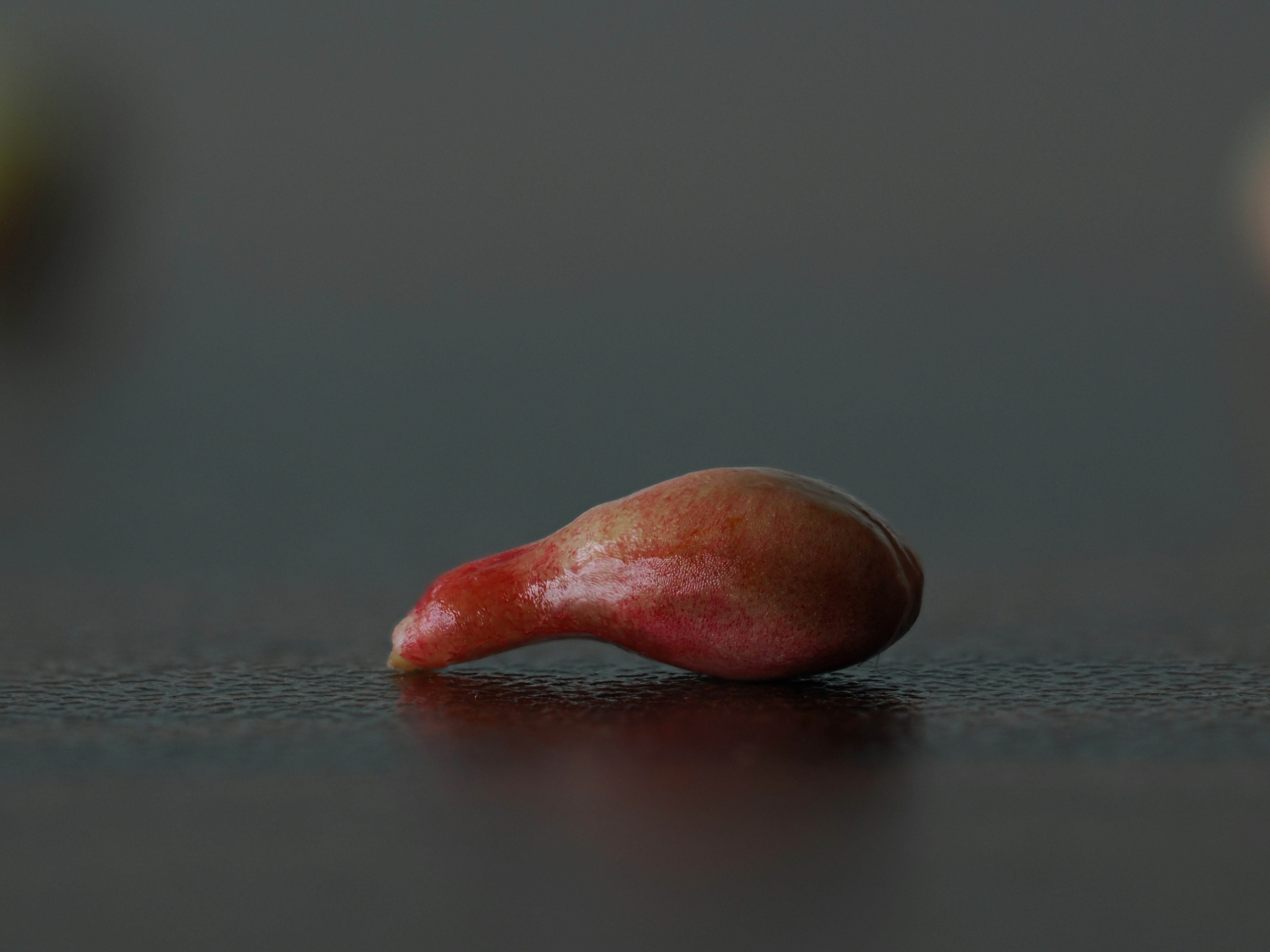 A lone red seed rests on a dark textured surface with a soft, blurred background, emphasizing minimalism and tactile detail. This is a close-up still life.
